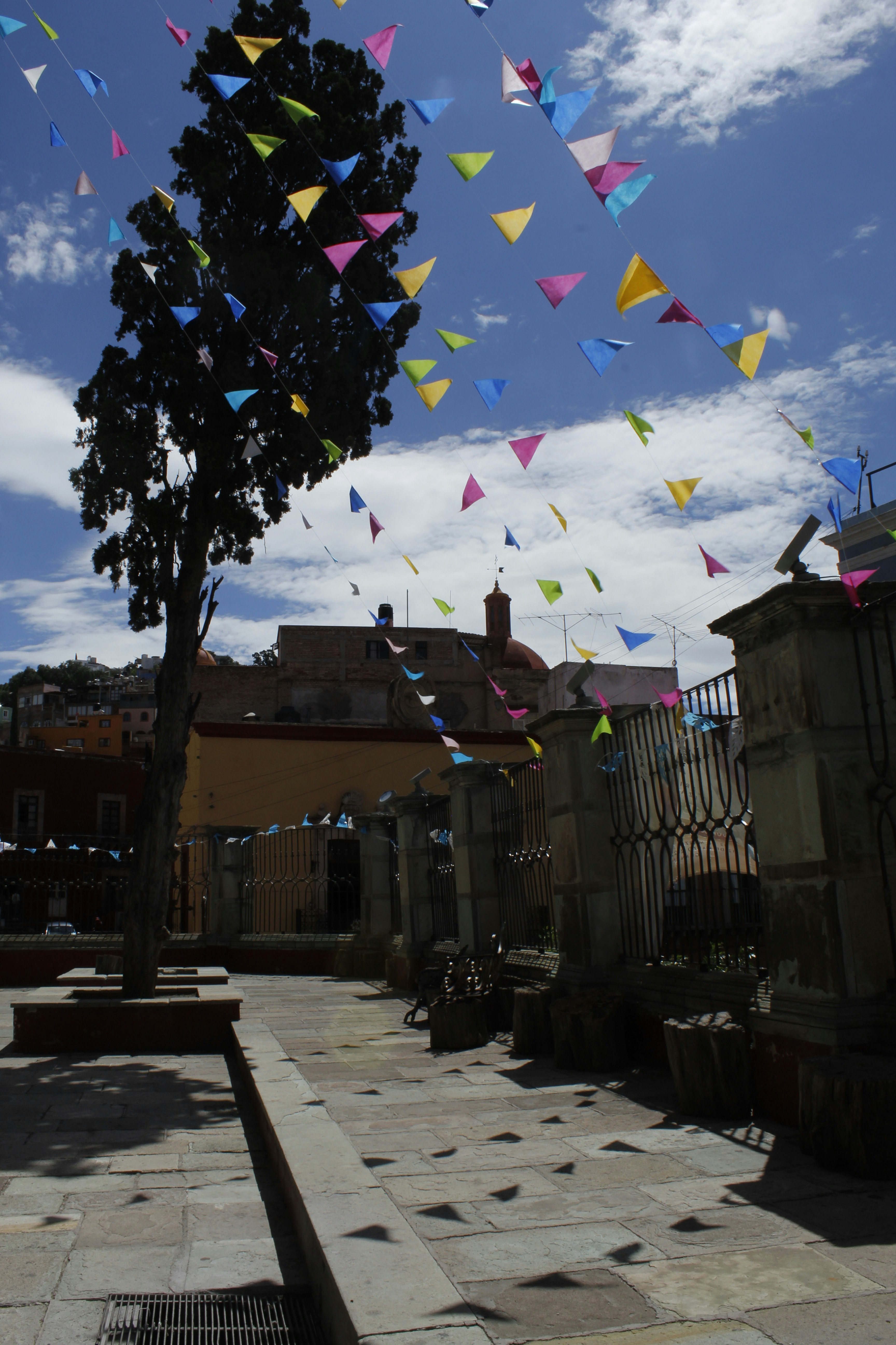 A tree with colorful kites flying in the air photo – Free Image on Unsplash