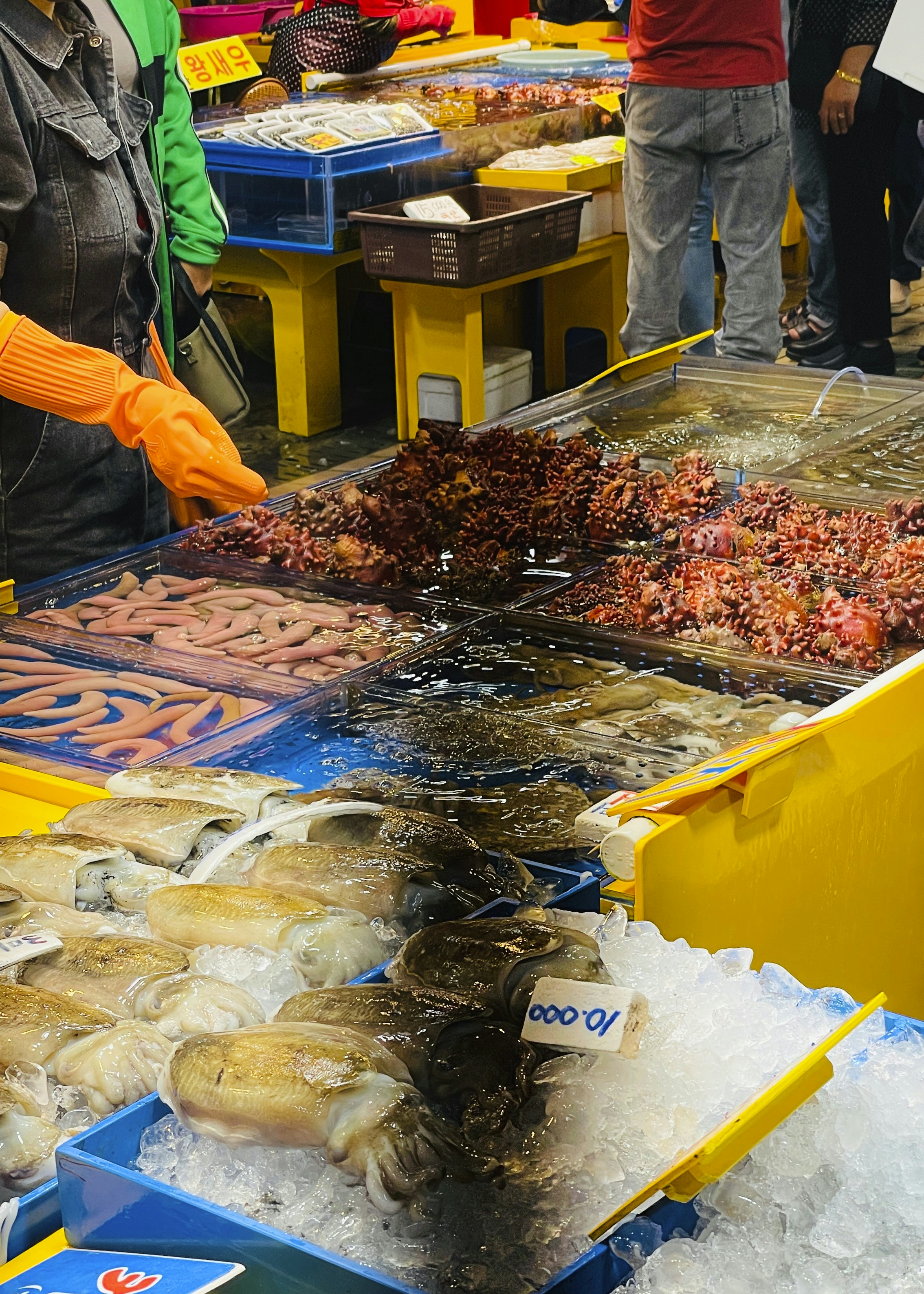 Ice-Glittered Bounty at a Bustling Seafood Market Stall