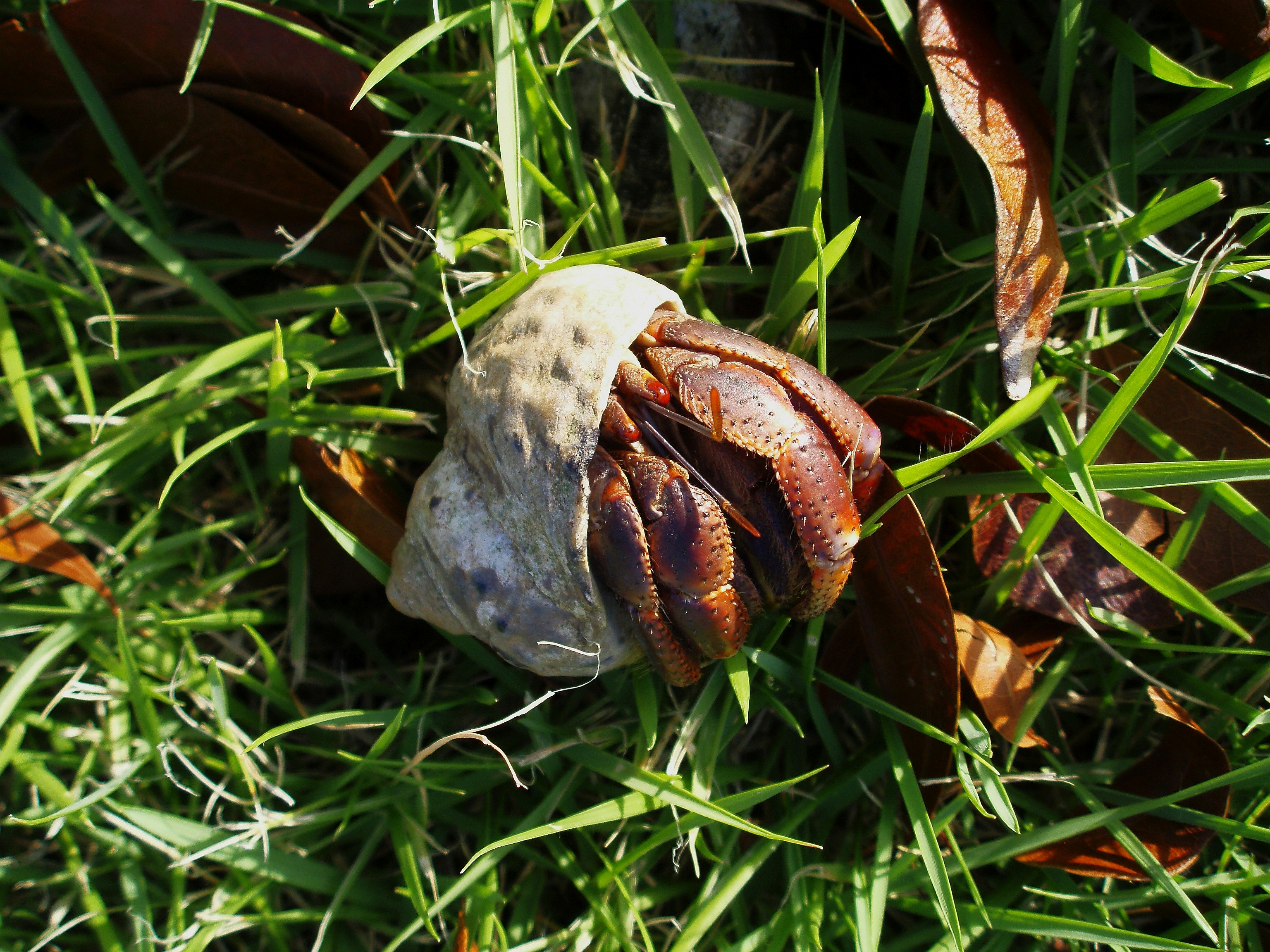 Photo by Karl Callwood with Olympus Stylus 760