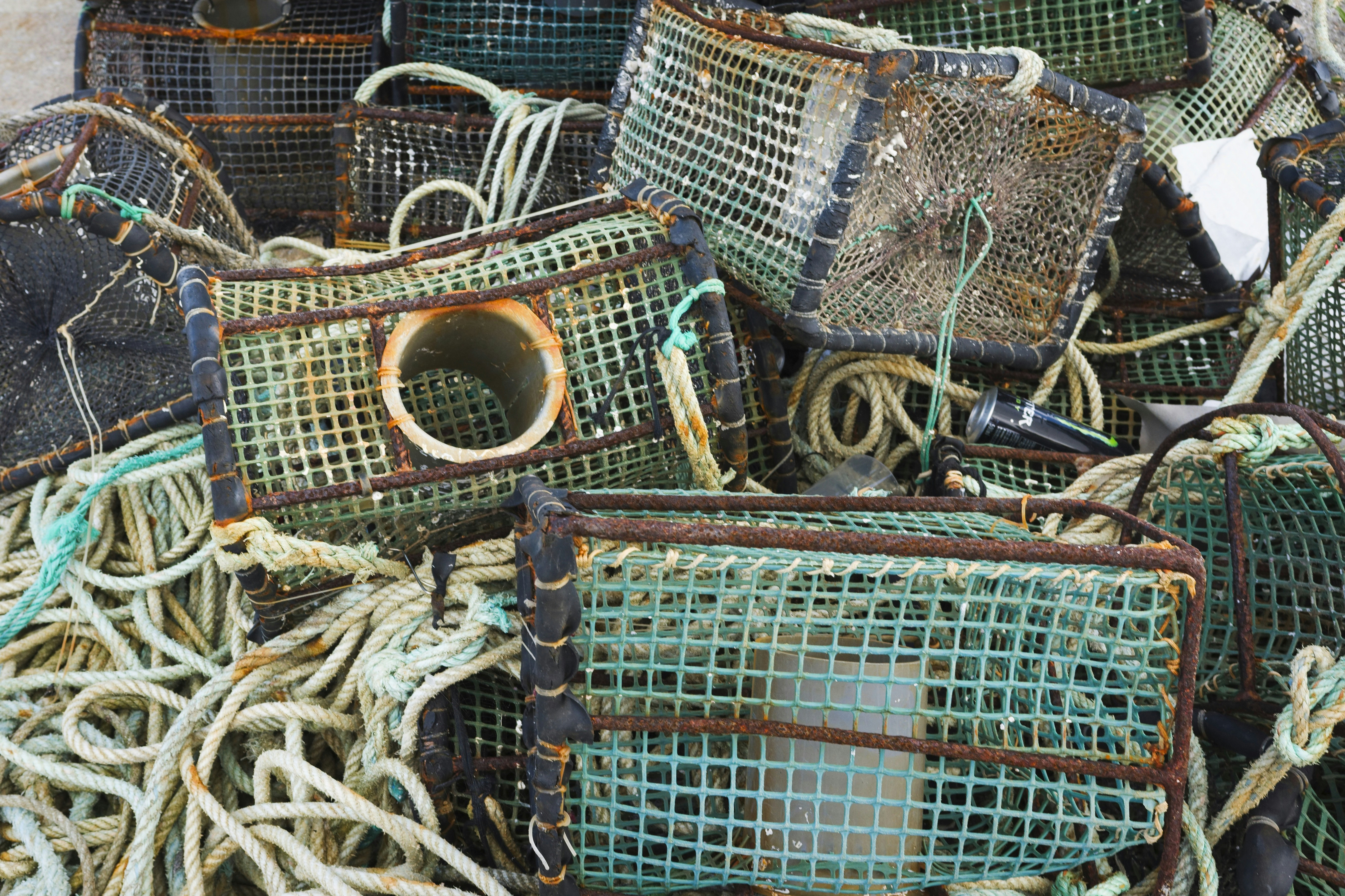 Un groupe de filets de pêche photo – Photo Ribeira Gratuite sur Unsplash