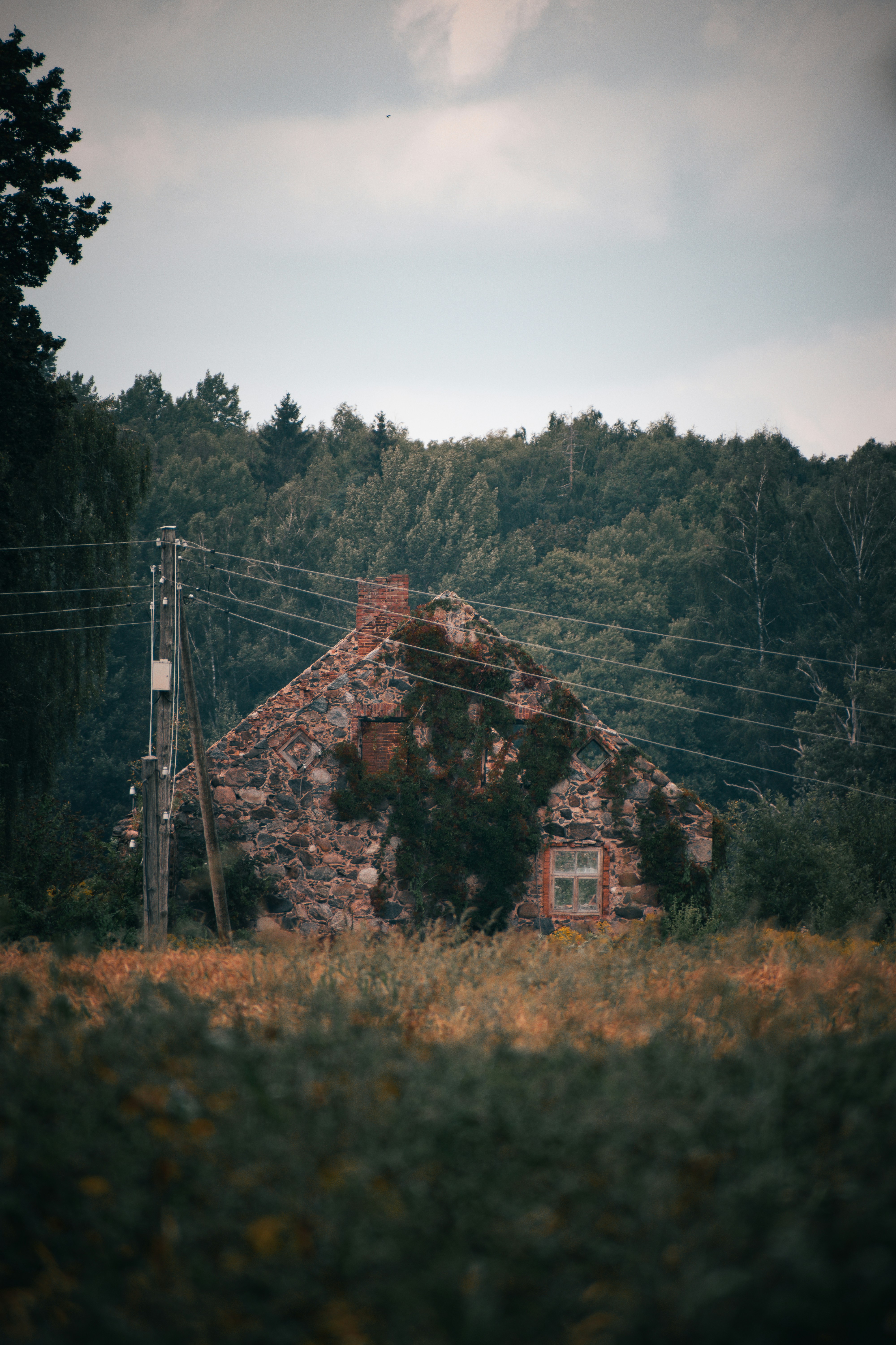 Photo by Kristīne Kozaka with Nikon D3500