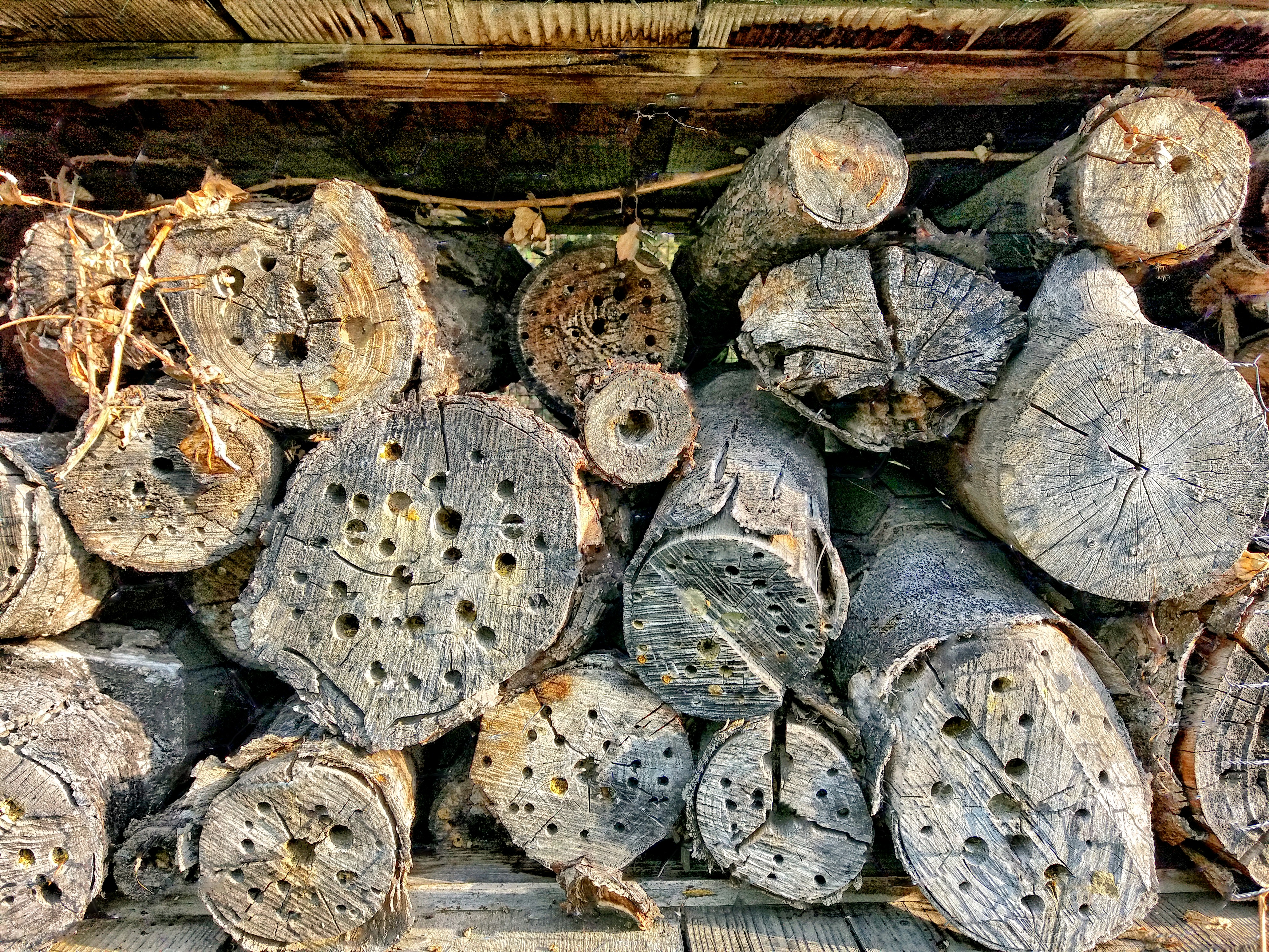 Foto Un grupo de objetos redondos con diseños en ellos – Imagen Madera ...