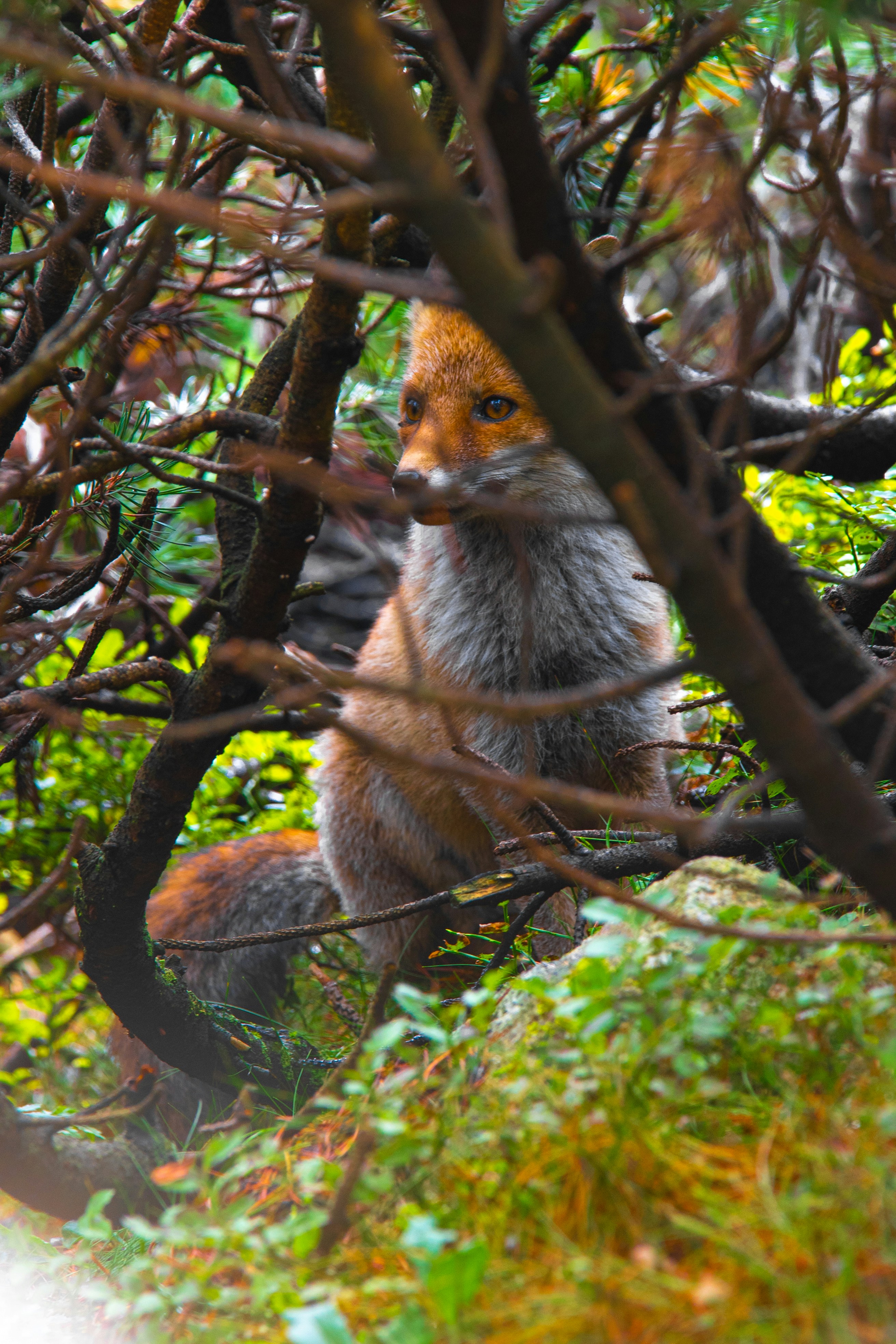 Damian Kwiatkowski (@tu_kwiatkowski) | Unsplashフォトコミュニティ