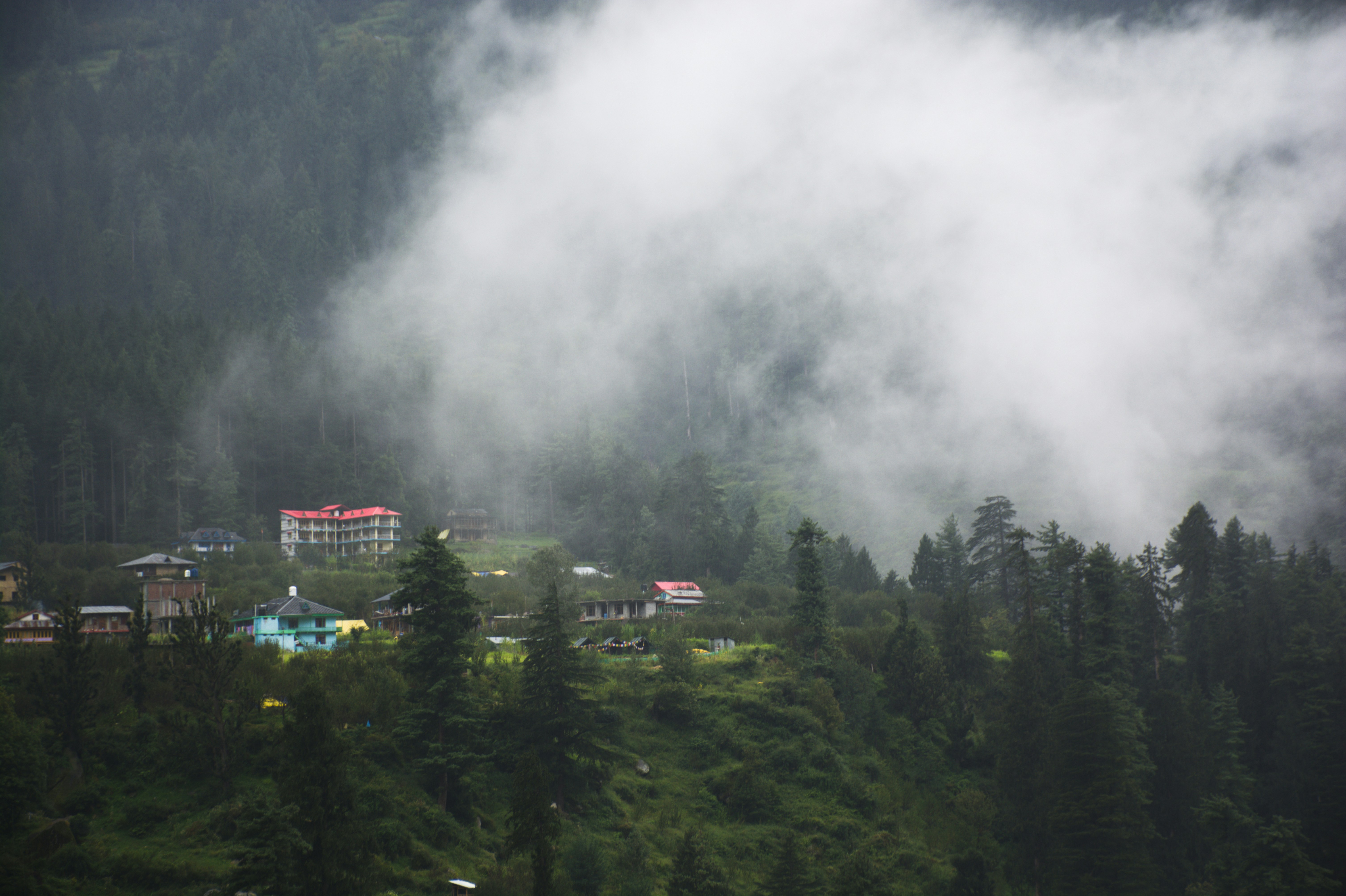 A serene landscape showcasing a cluster of houses enveloped in mist, surrounded by lush greenery and towering trees.