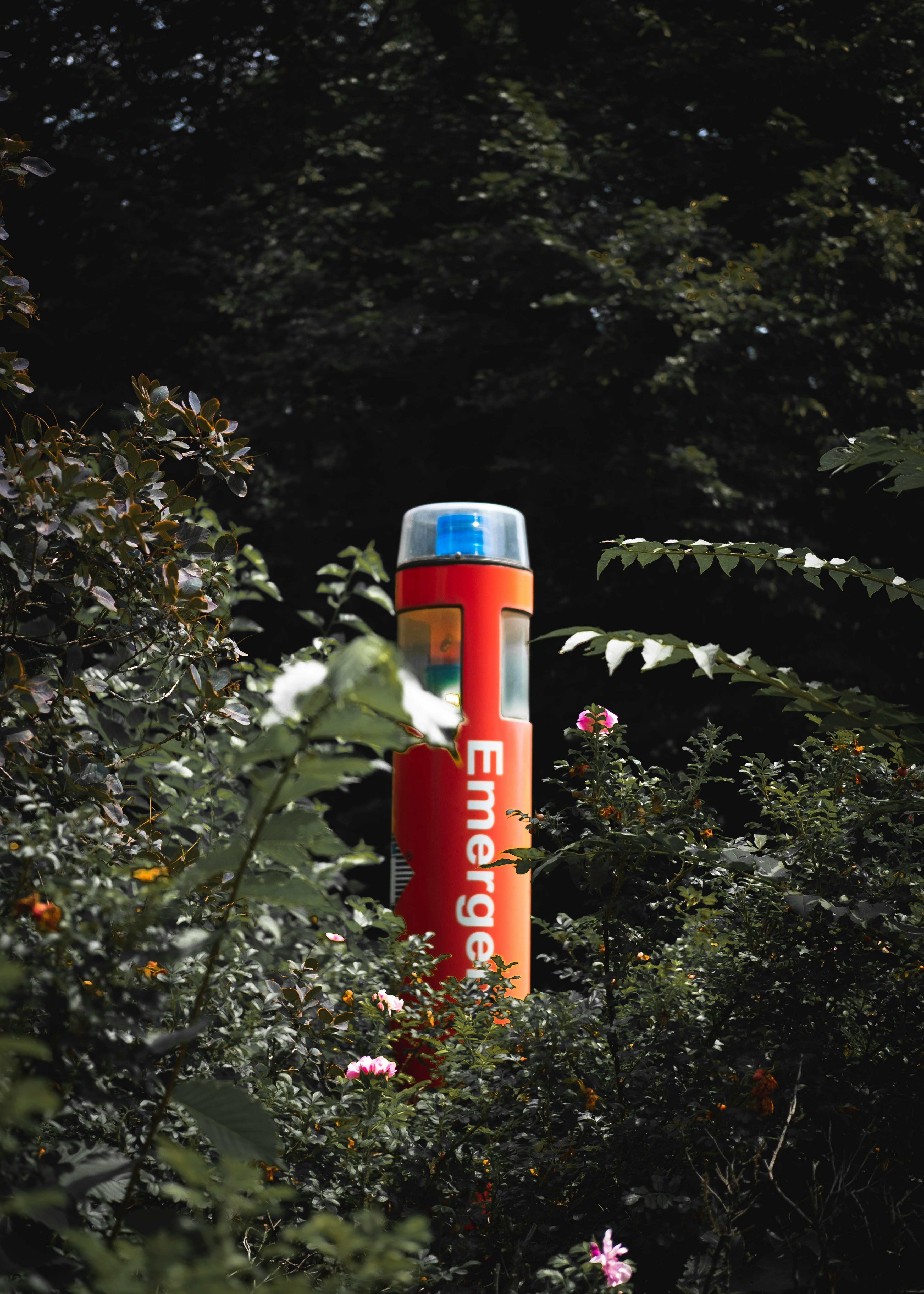 Emergence in the Garden: An Orange Safety Canister Peeks Through Greenery