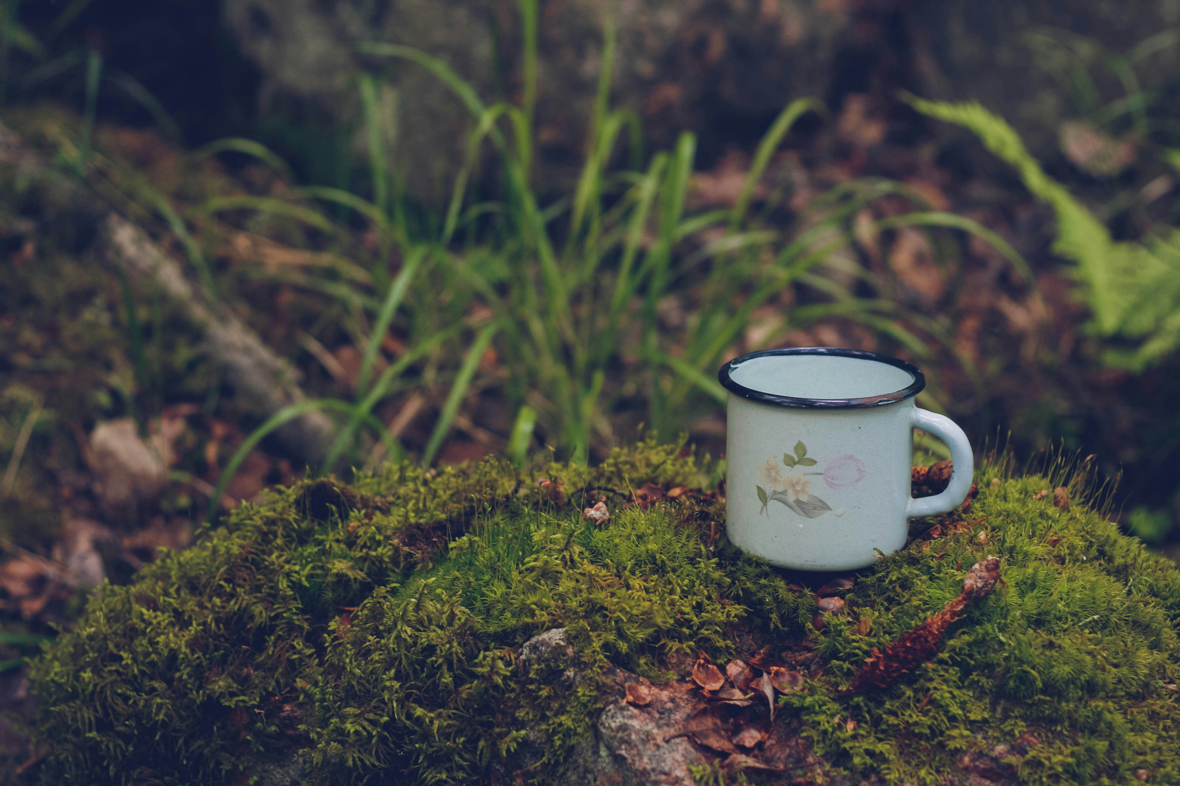 Enamel mug resting on a moss-covered stone amidst lush greenery, evoking a serene outdoor ambiance.
