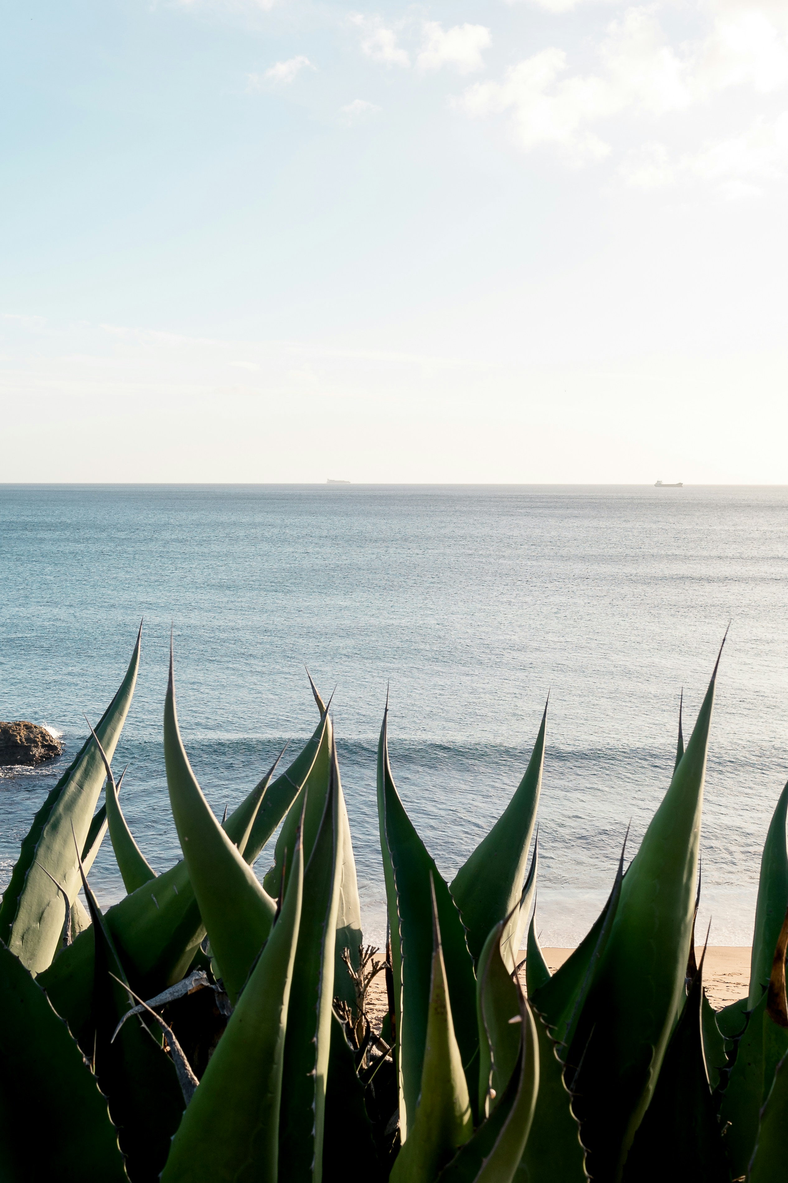 Nature Frame Pictures | Download Free Images on Unsplash