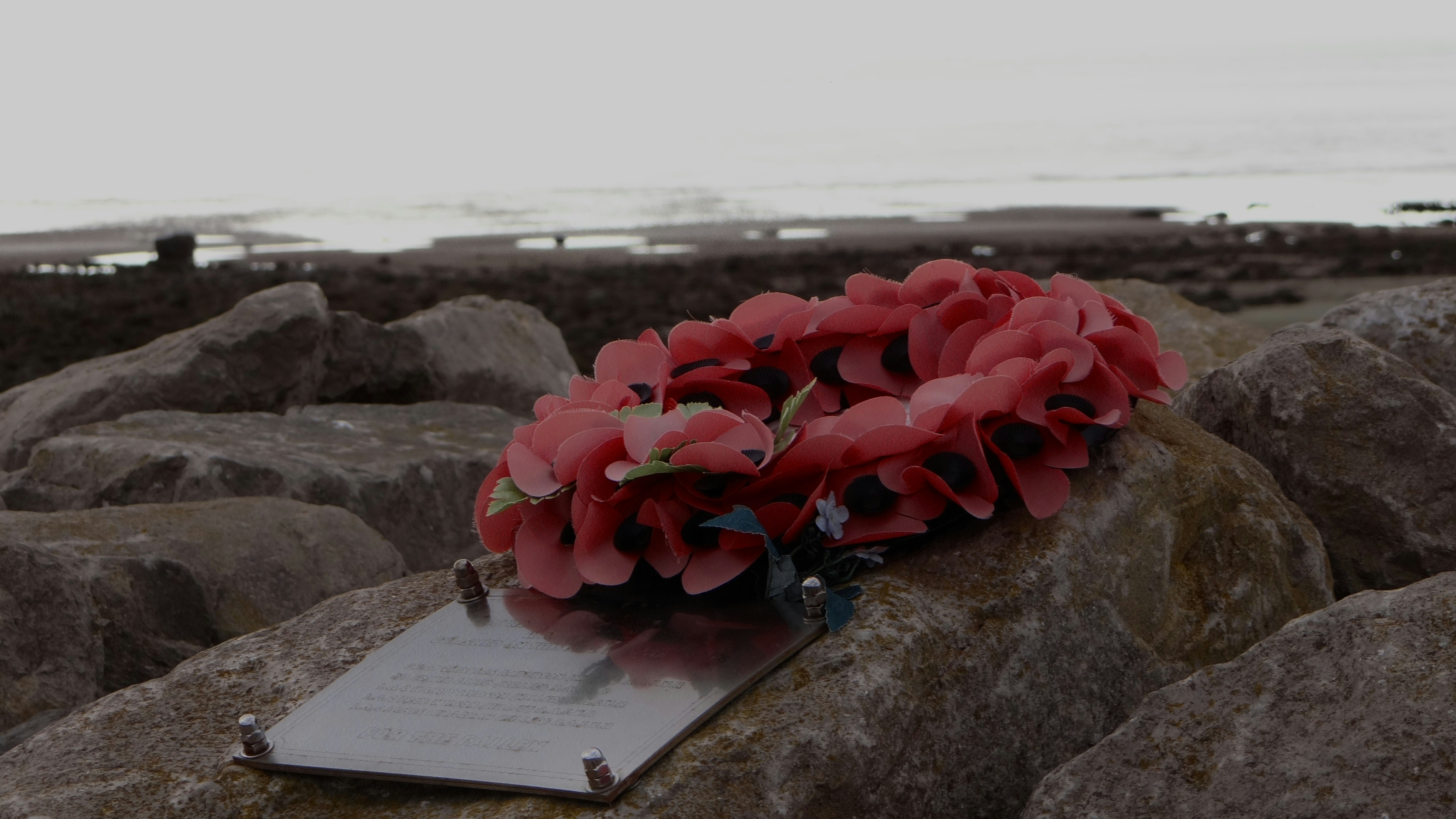 Crimson Bouquet on Weathered Shore: a Quiet Memorial by the Sea