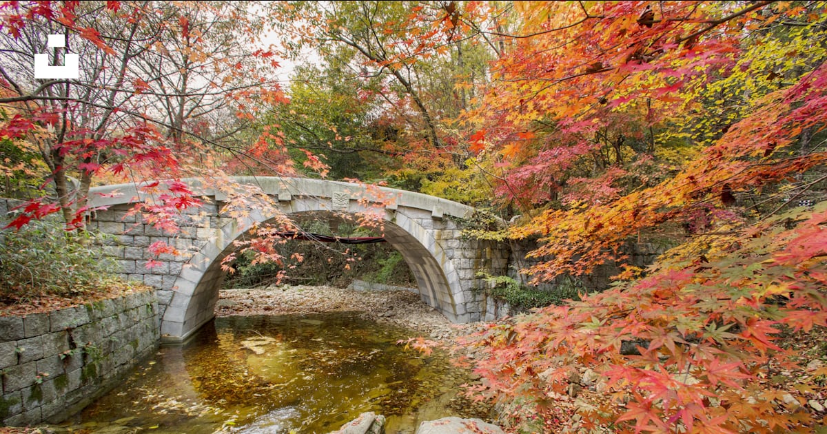개울 위의 작은 다리 사진 Unsplash의 무료 월출산 이미지