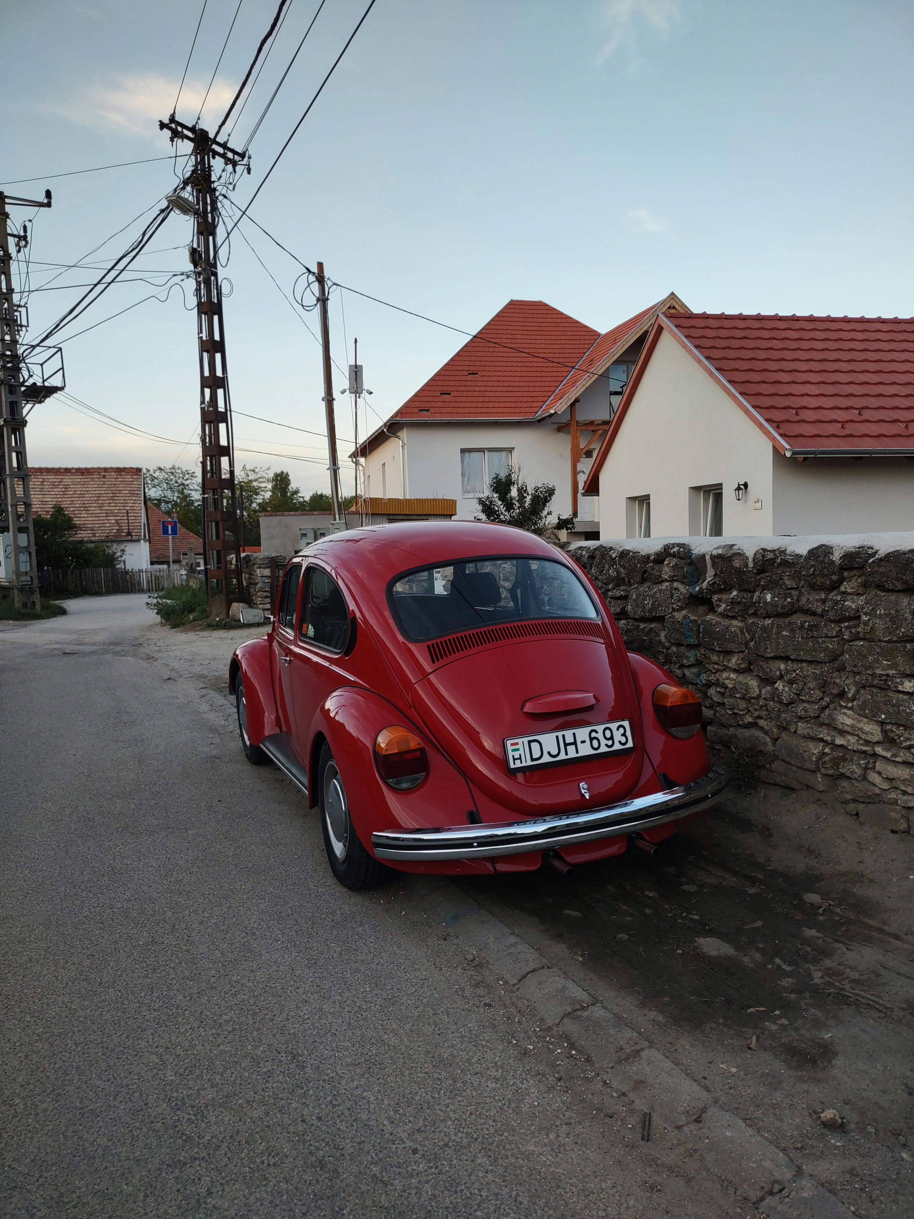 Red Beetle Resting Along a Quiet Village Street