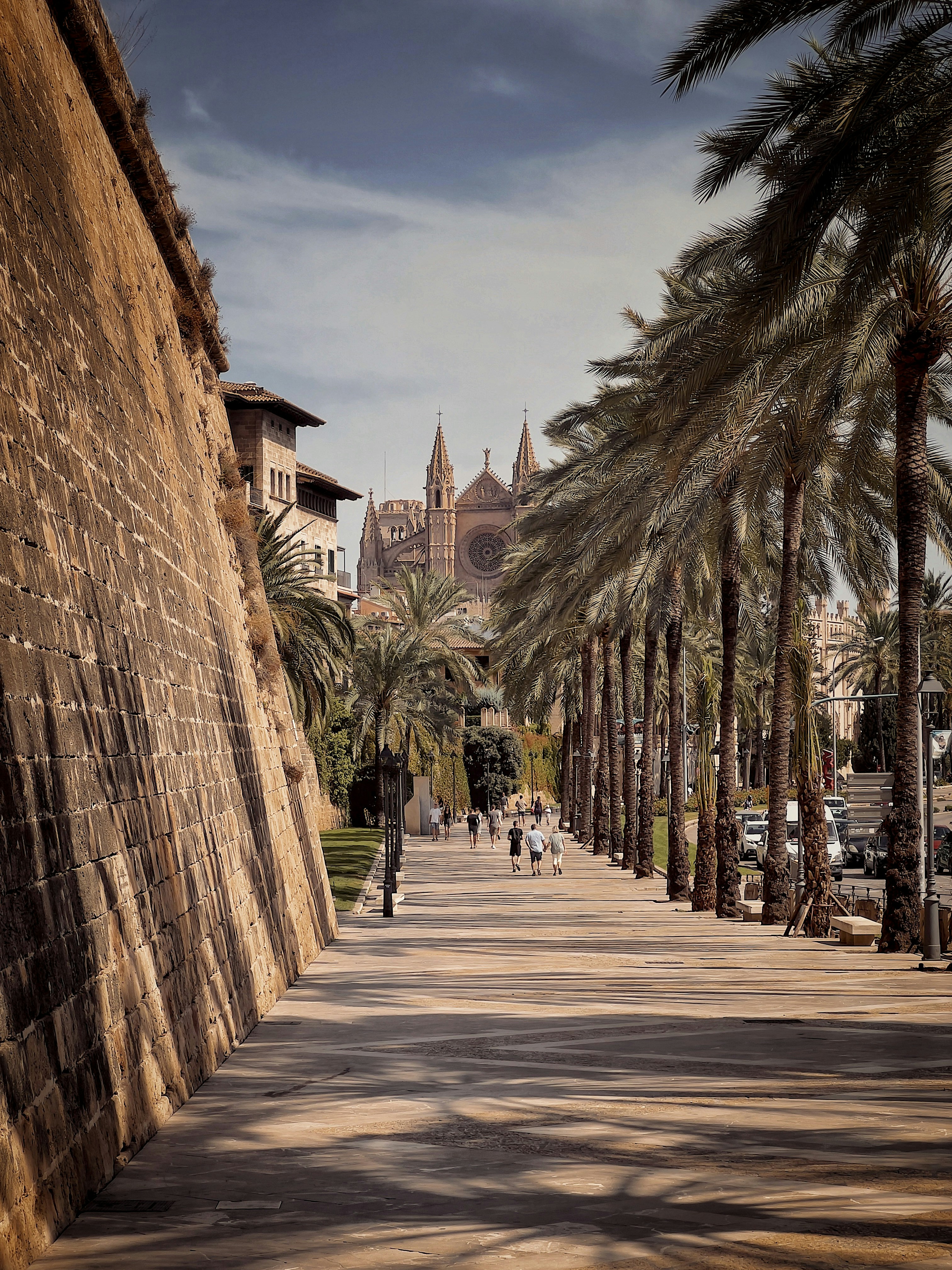 Gateway of Palm-lined Avenue Toward a Cathedral skyline