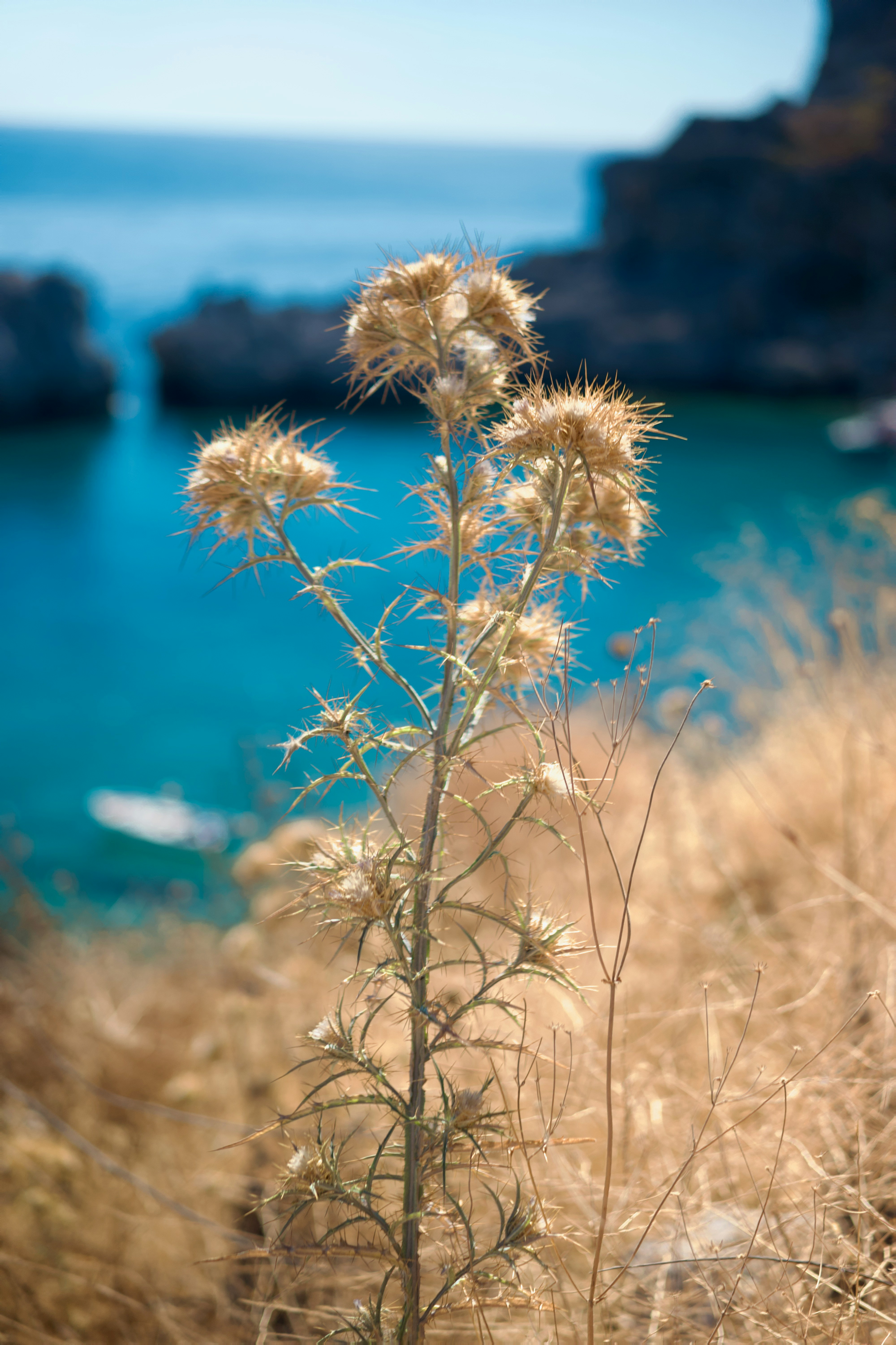 Photo by Tobias Jetter with Sony Alpha 7 II