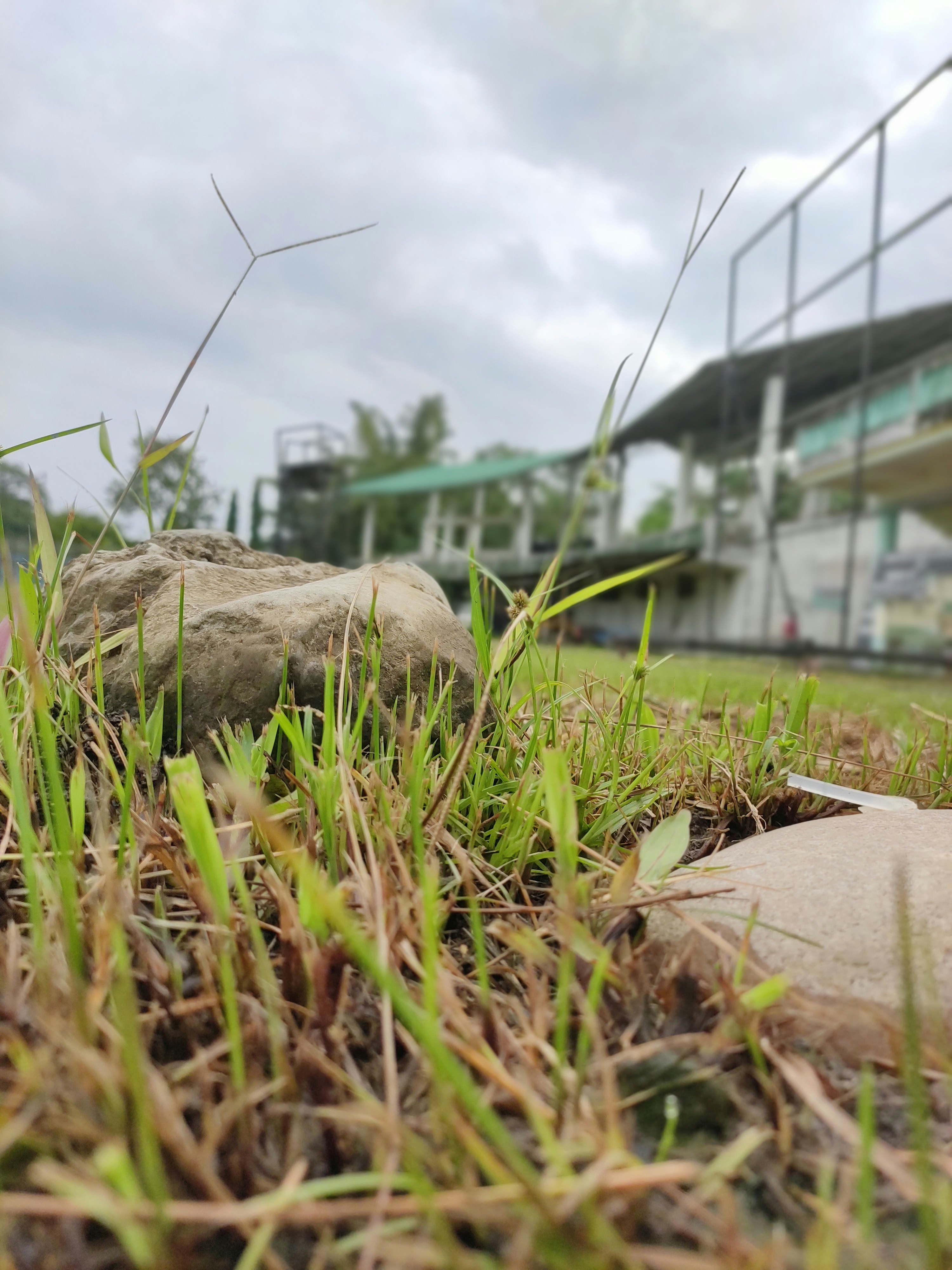 Close-up view of a rock surrounded by grass, with a blurred background featuring structures and cloudy skies.