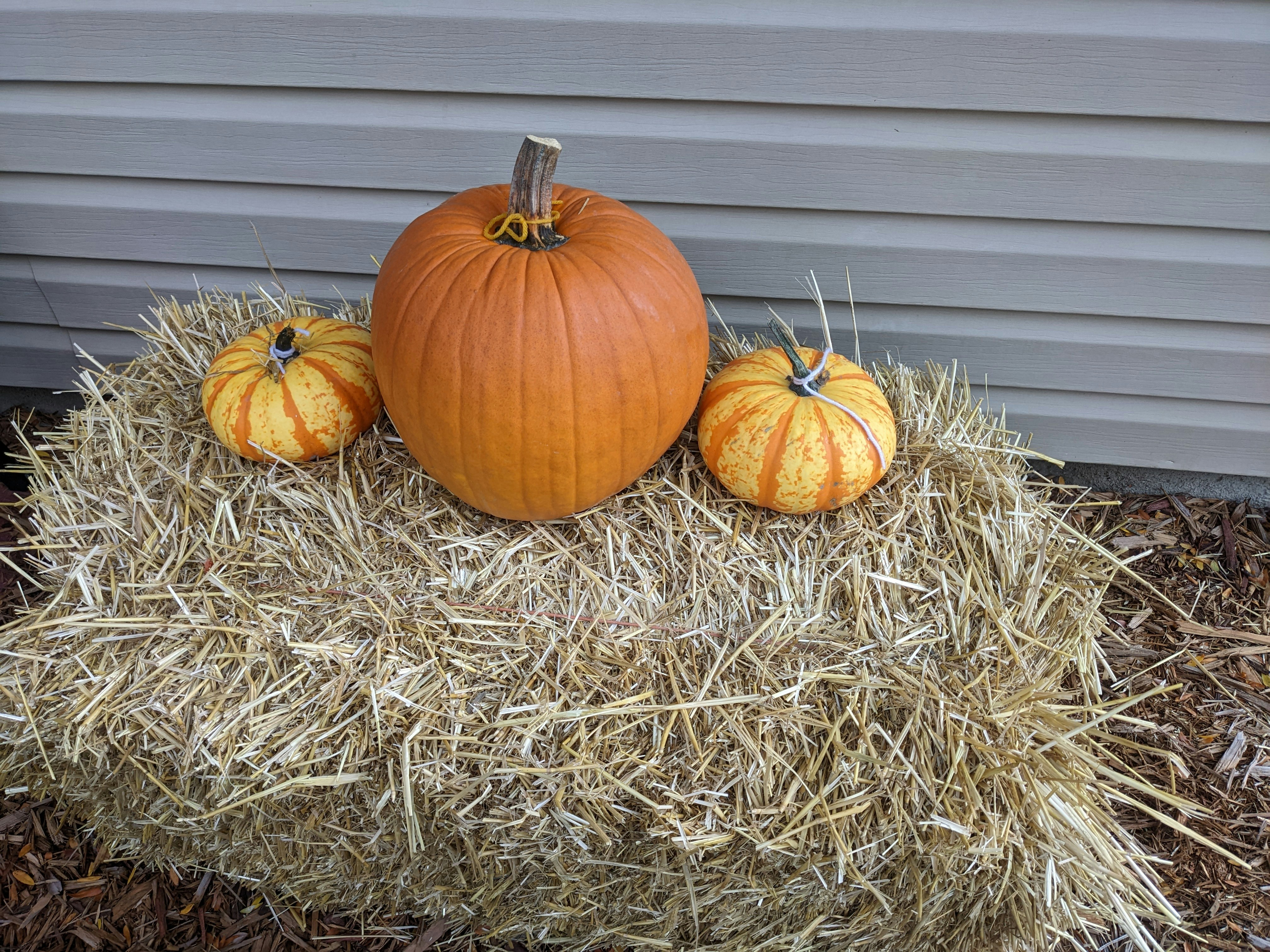 A vibrant orange pumpkin accompanied by two striped gourds rests atop a straw bale, embodying the essence of fall decor.
