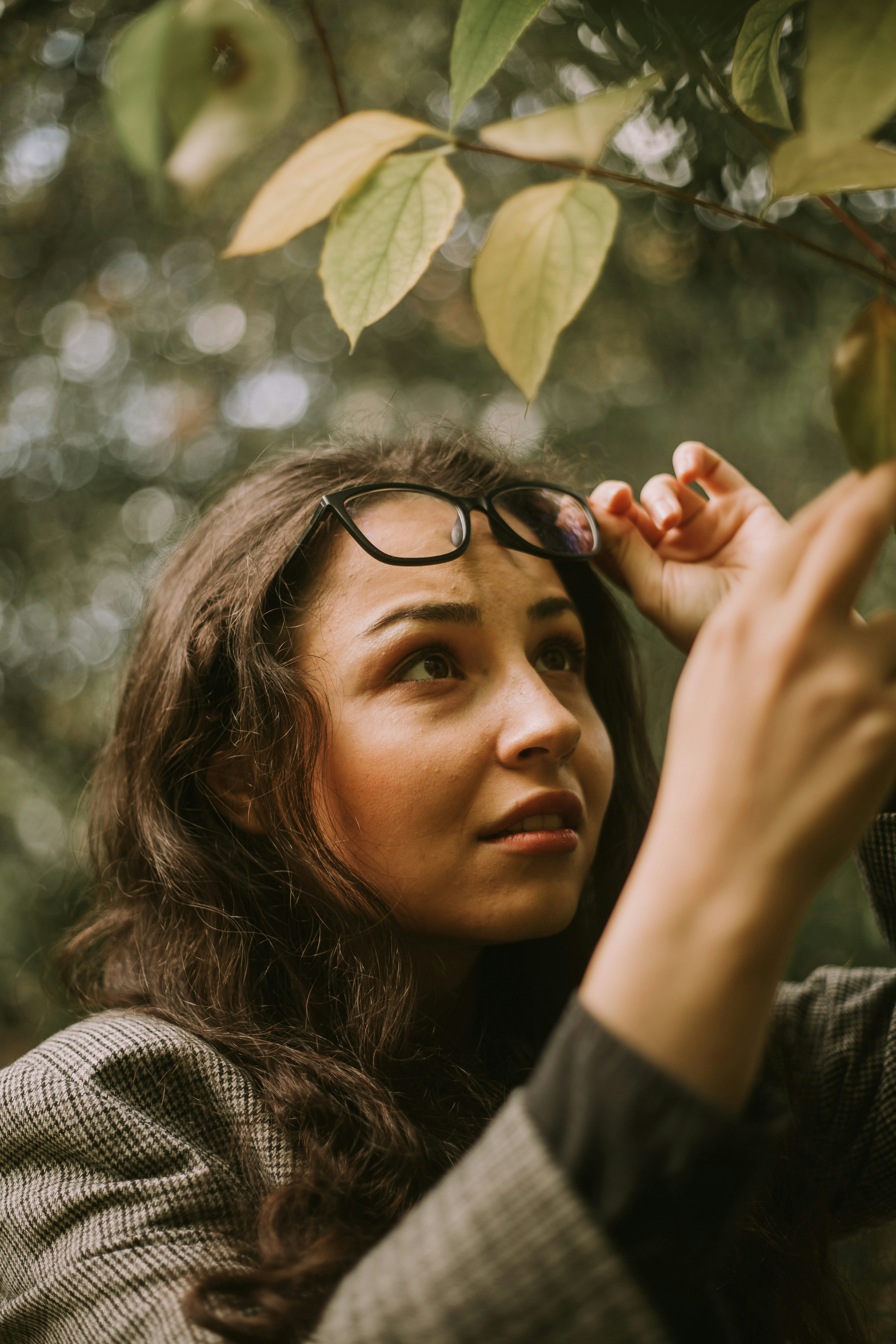A person holding a tree branch photo – Free Autumn Image on Unsplash