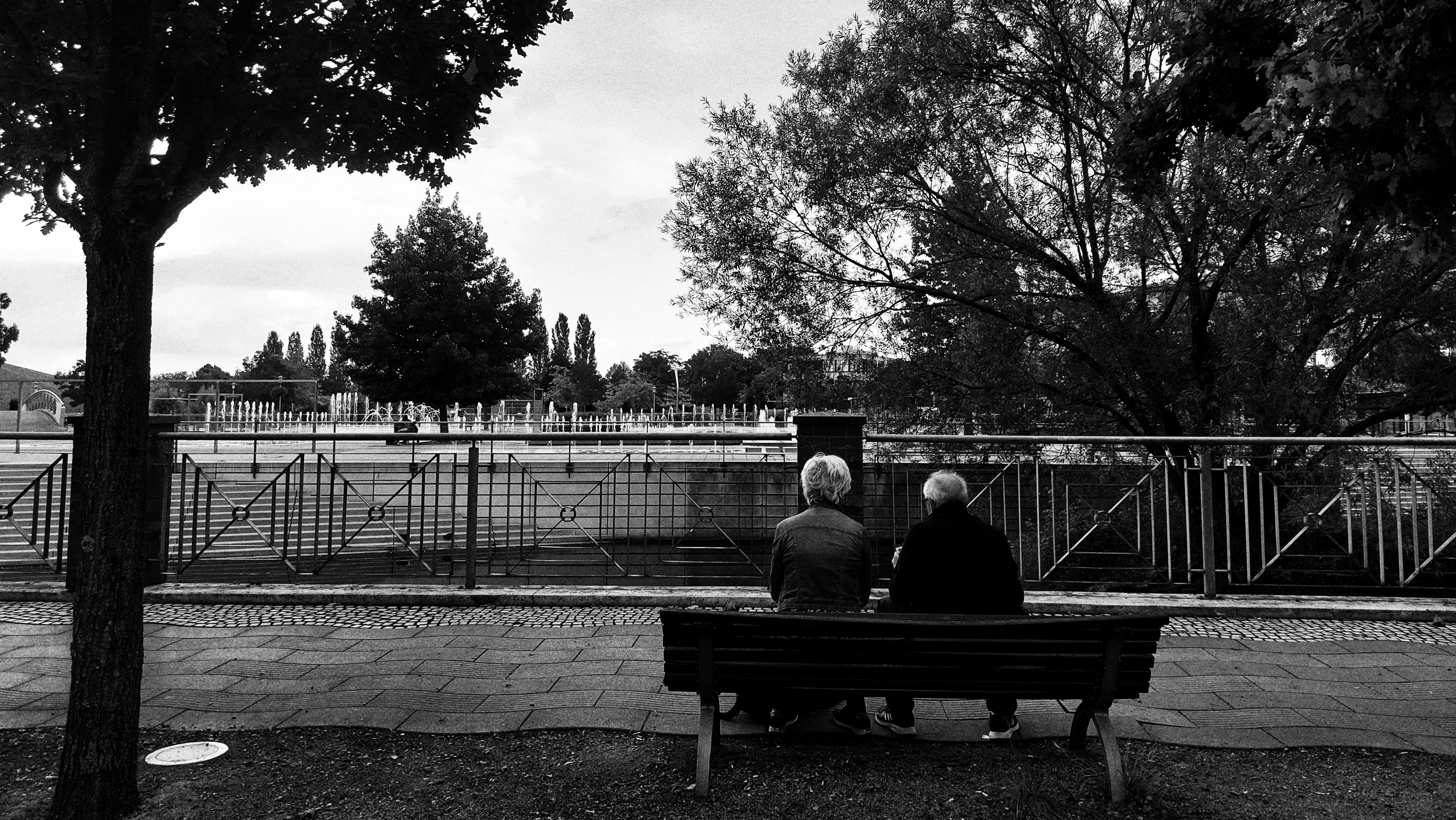 Two people seated on a bench under a tree, overlooking a fenced park with an overcast sky.