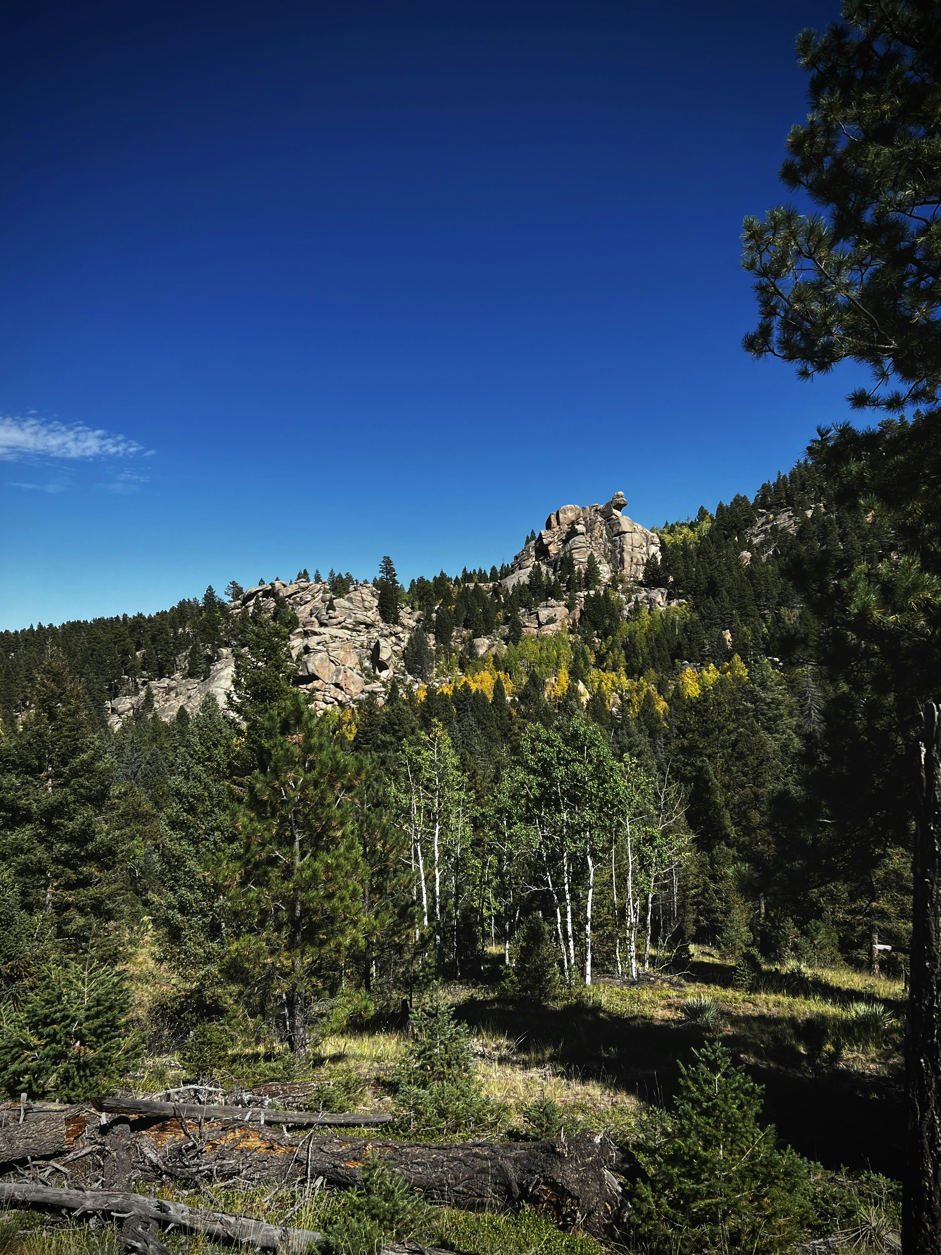 A rocky mountain with trees photo – Free Tree Image on Unsplash