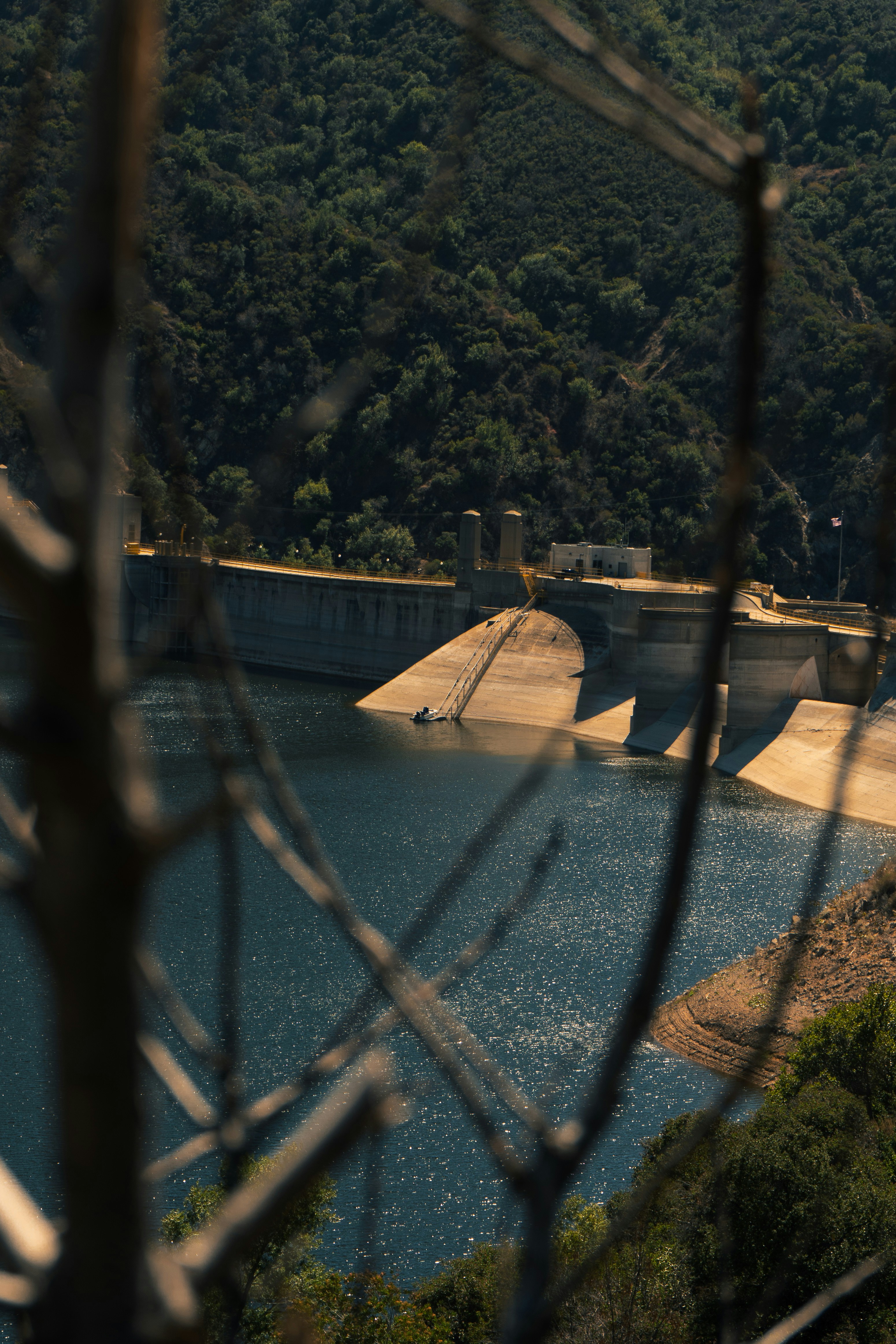 Through the Thicket: A Glimpse of Engineering