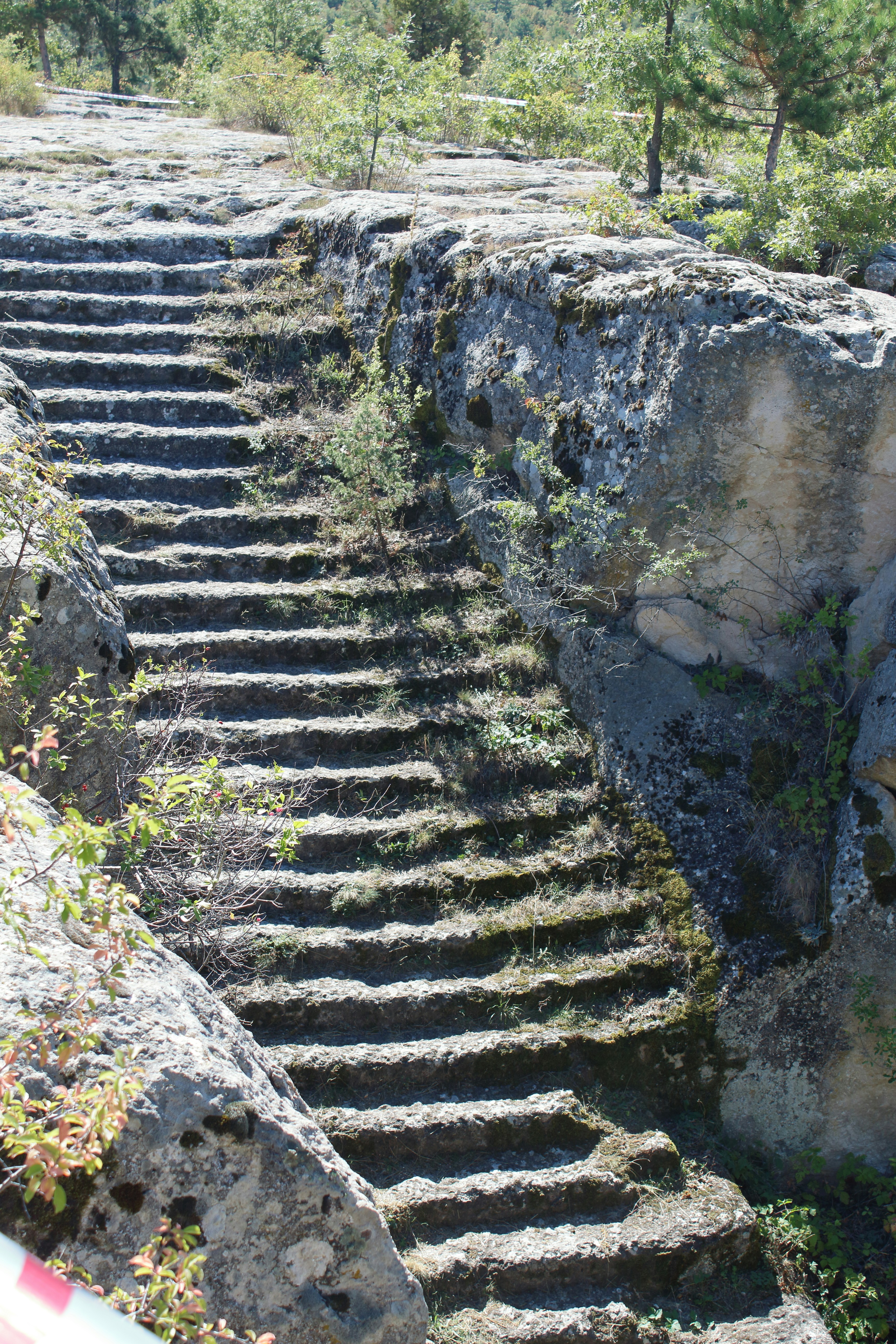 Photo by Mustafa akın with Canon EOS 1300D