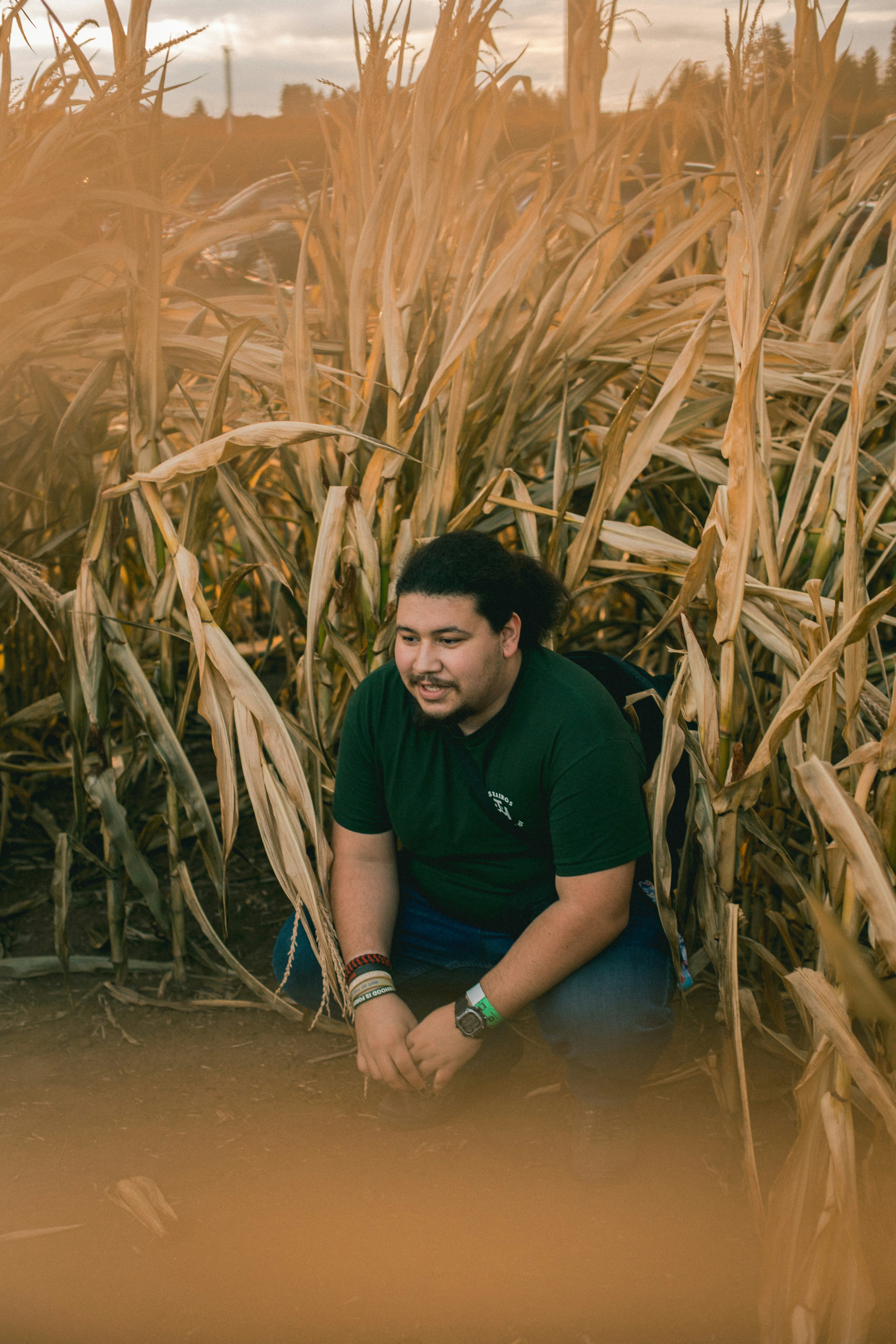 Among the Corn: a Quiet Portrait in Late Afternoon Light
