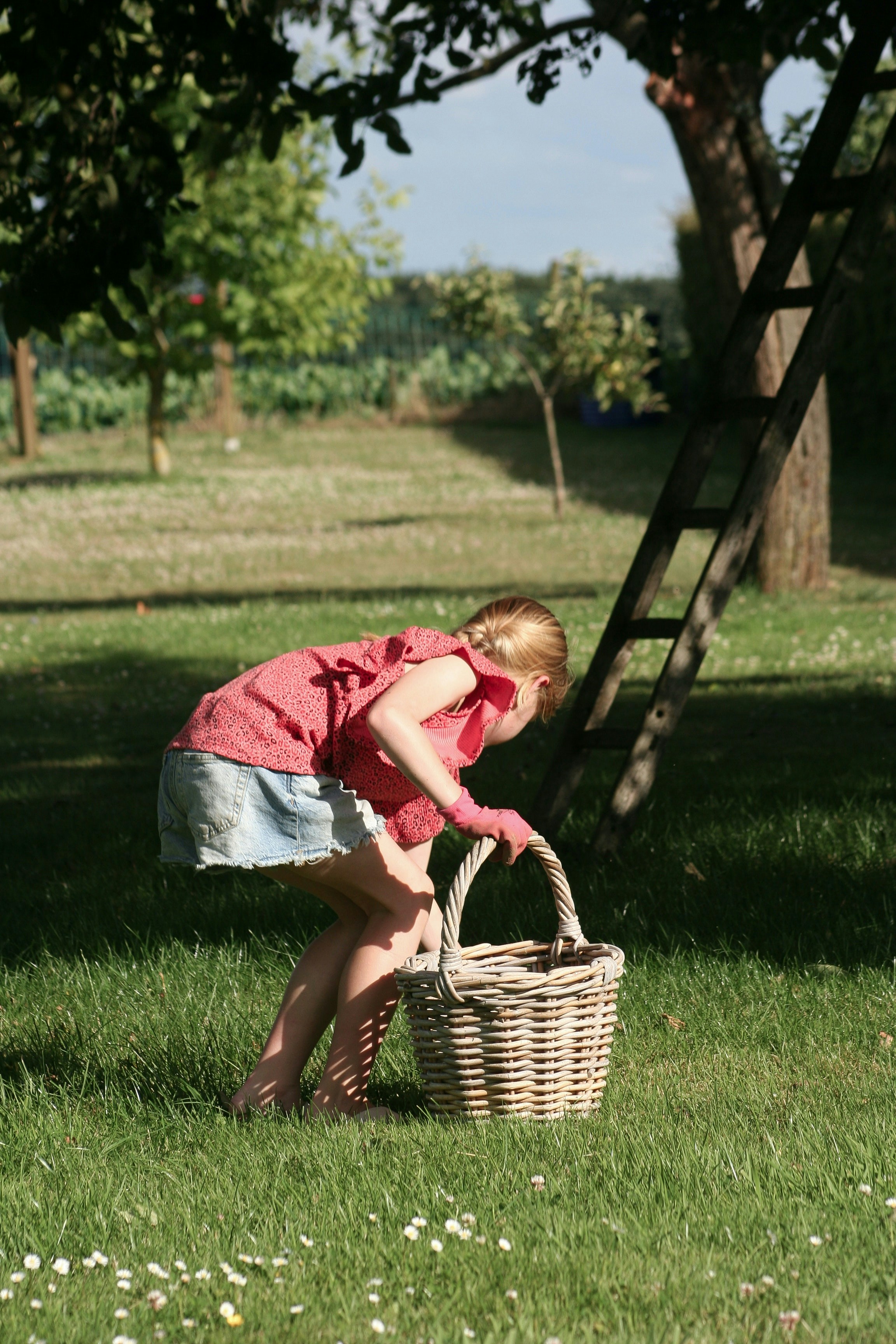 A person pushing a basket photo – Free Grass Image on Unsplash