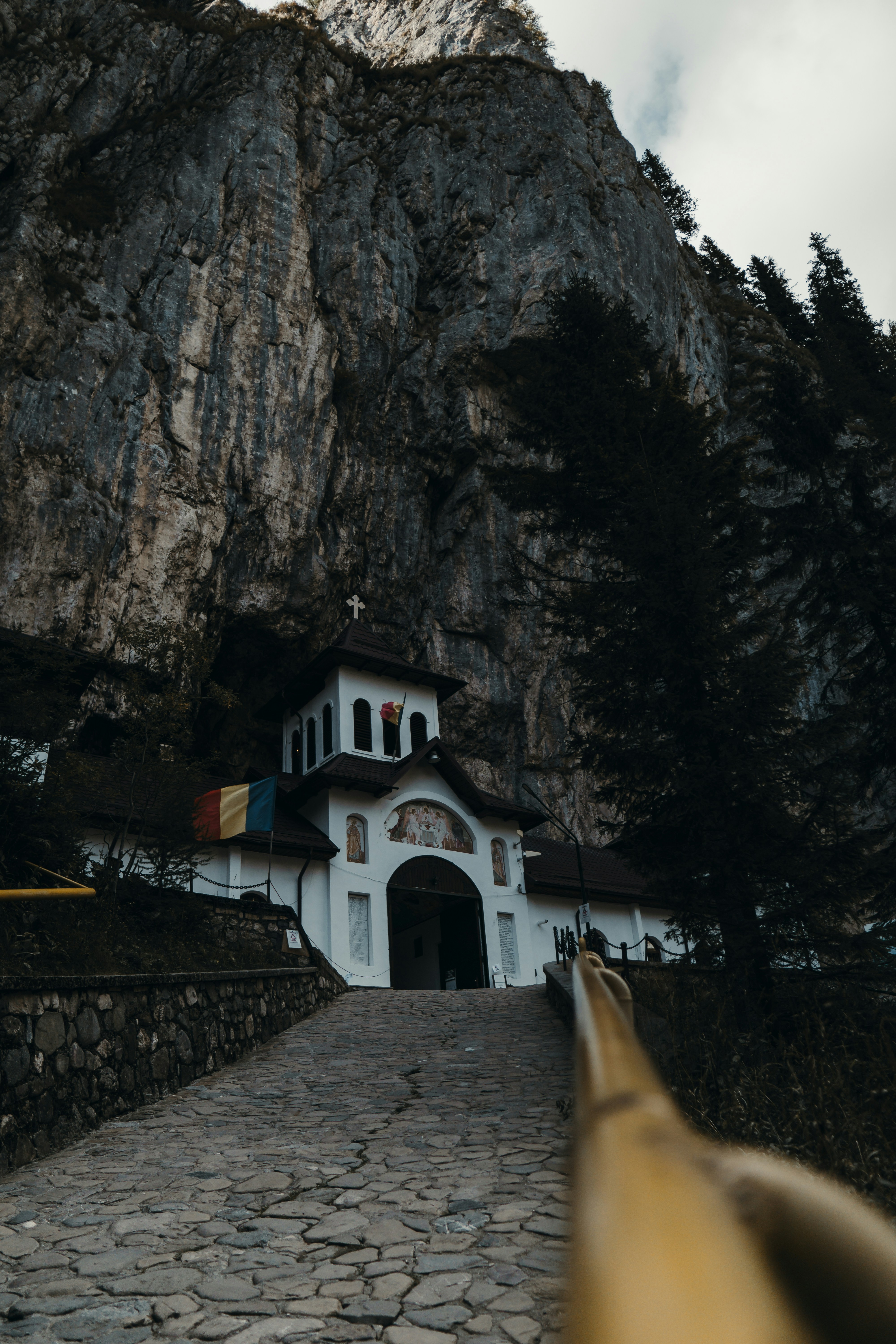 Photo by Andrei R. Popescu with Sony Alpha 6000