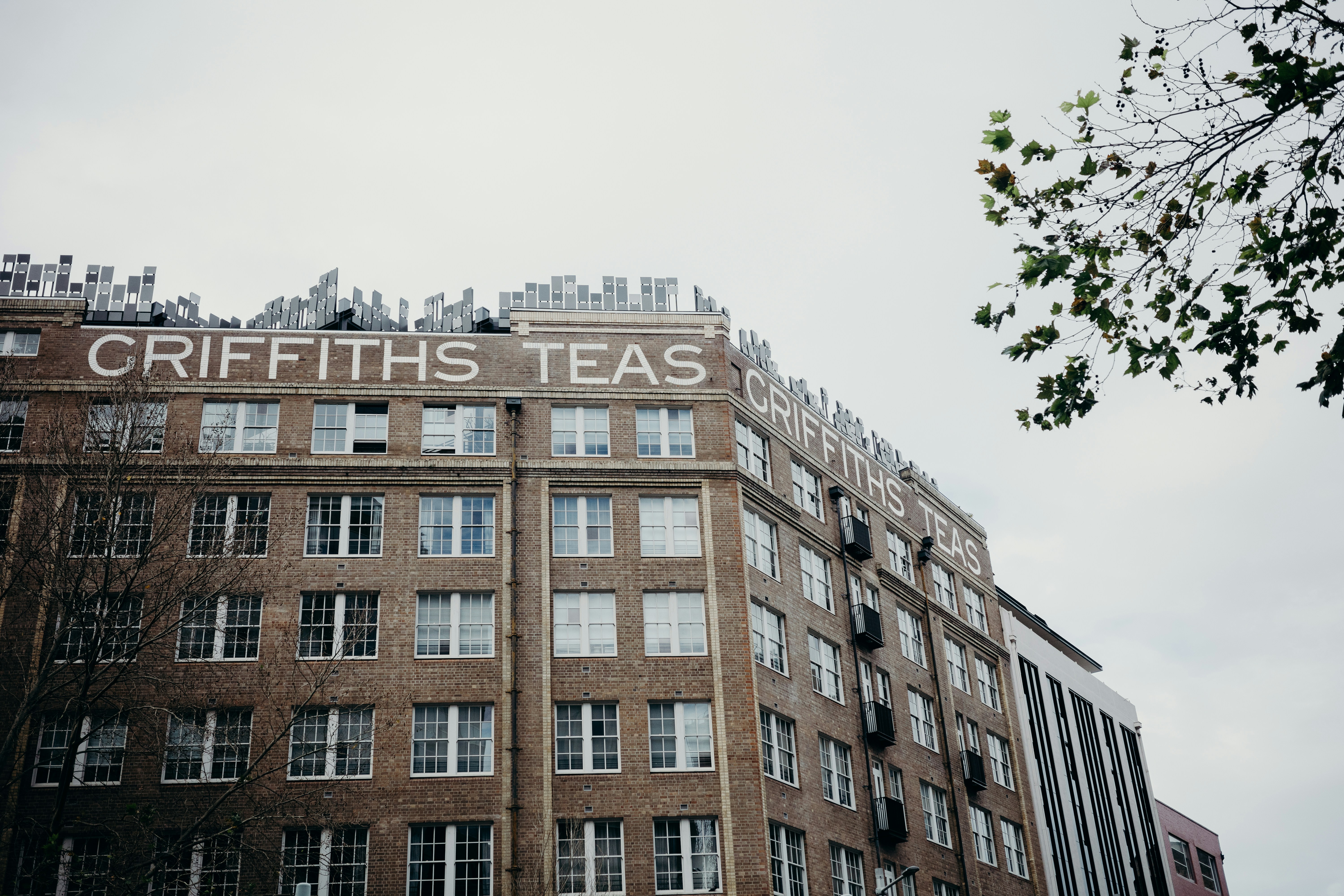 Foto Un edificio alto con muchas ventanas – Imagen Surry Hills NSW ...