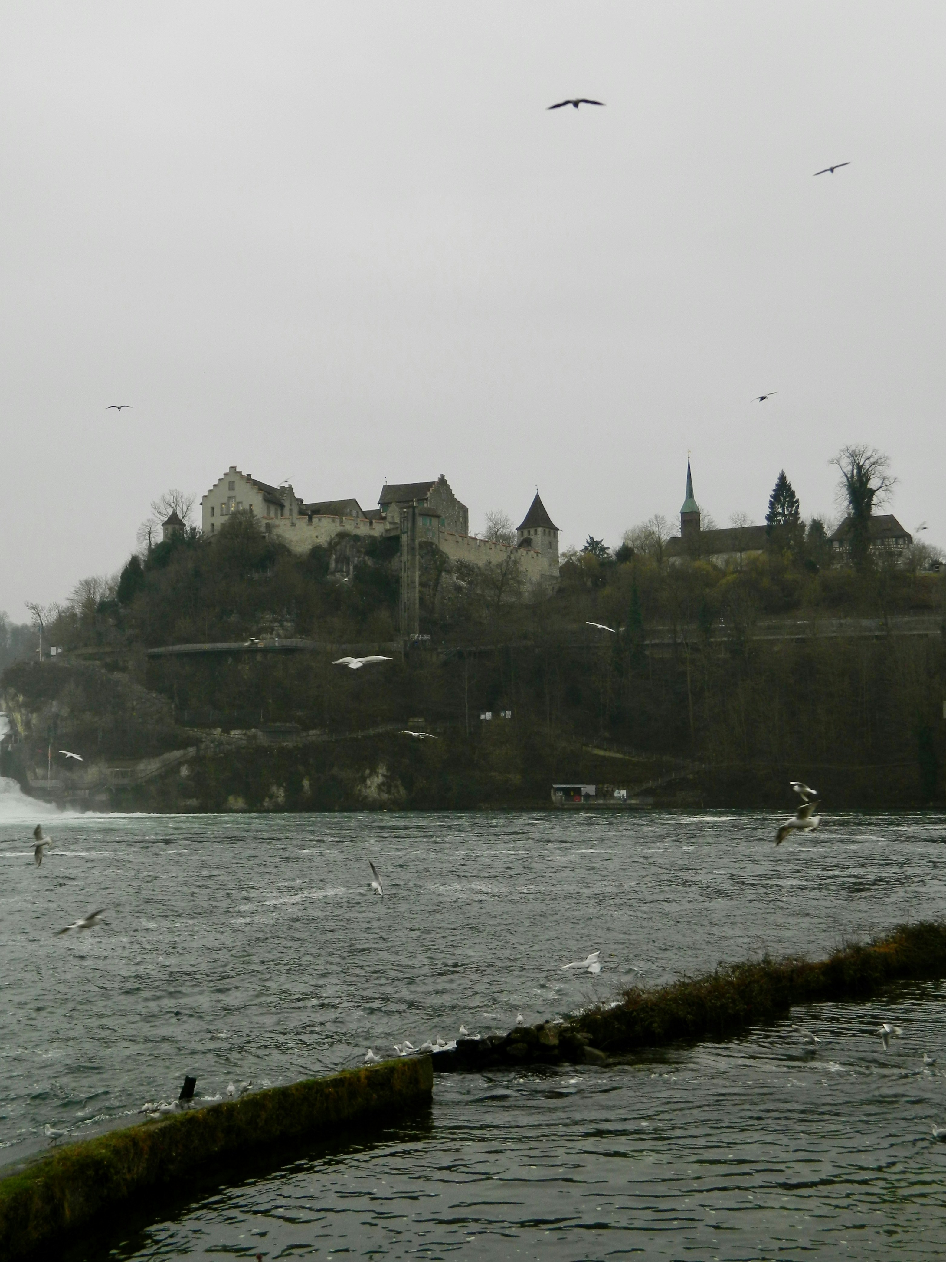 A historic castle perched on a cliff overlooking turbulent waters, with seagulls soaring above on a cloudy day.