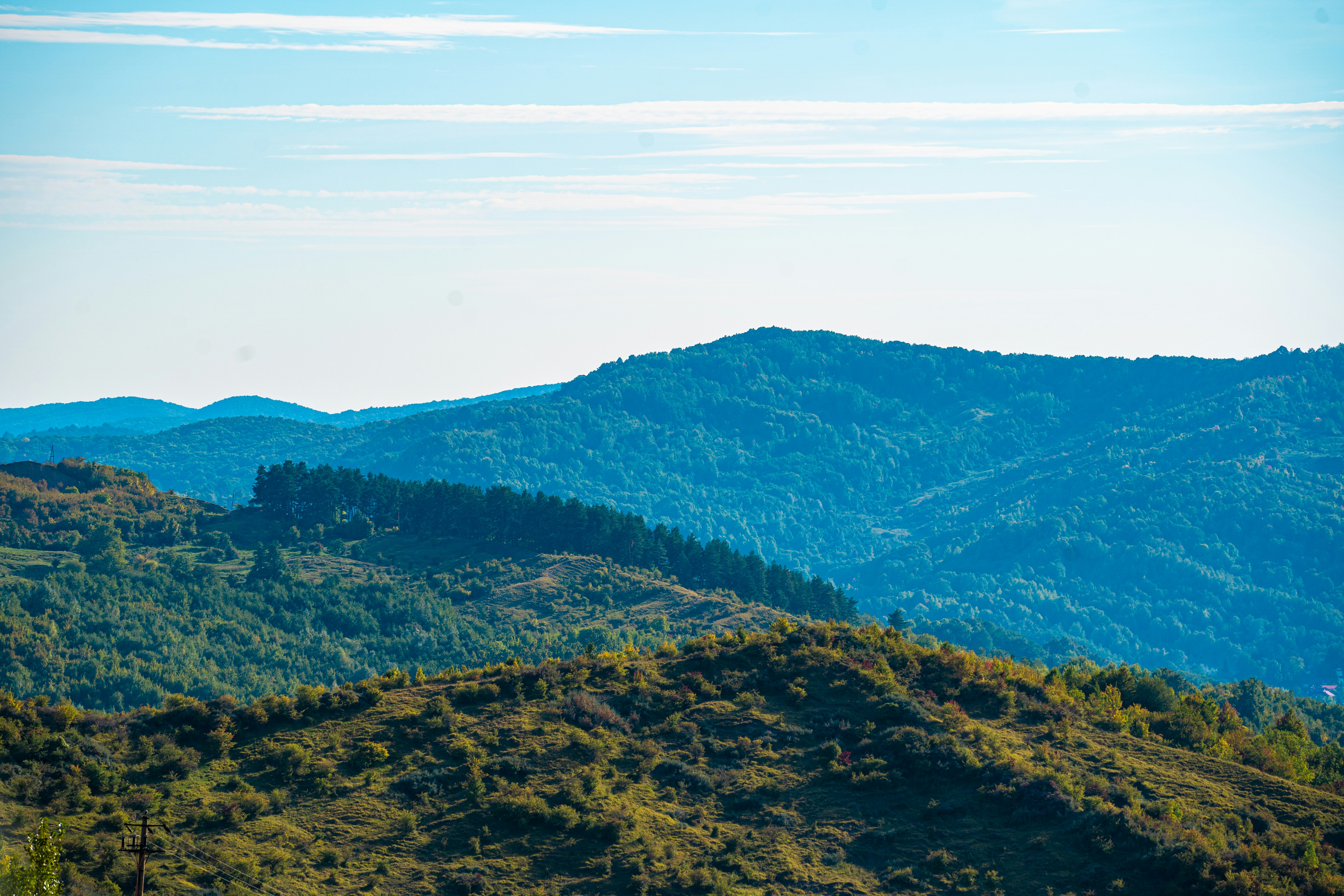 Un paysage avec des arbres et des collines photo – Image gratuite de ...