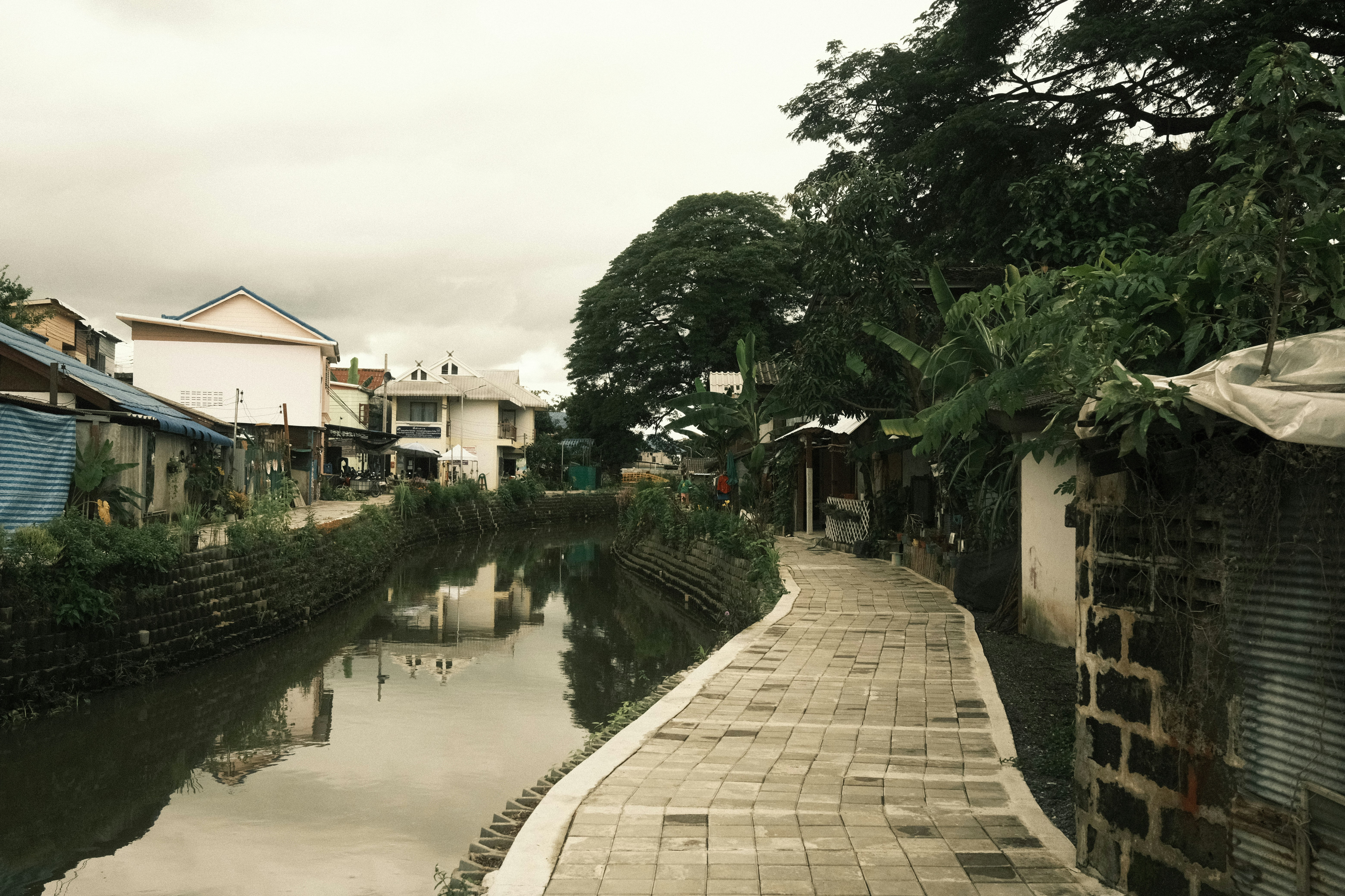 a path with buildings along it