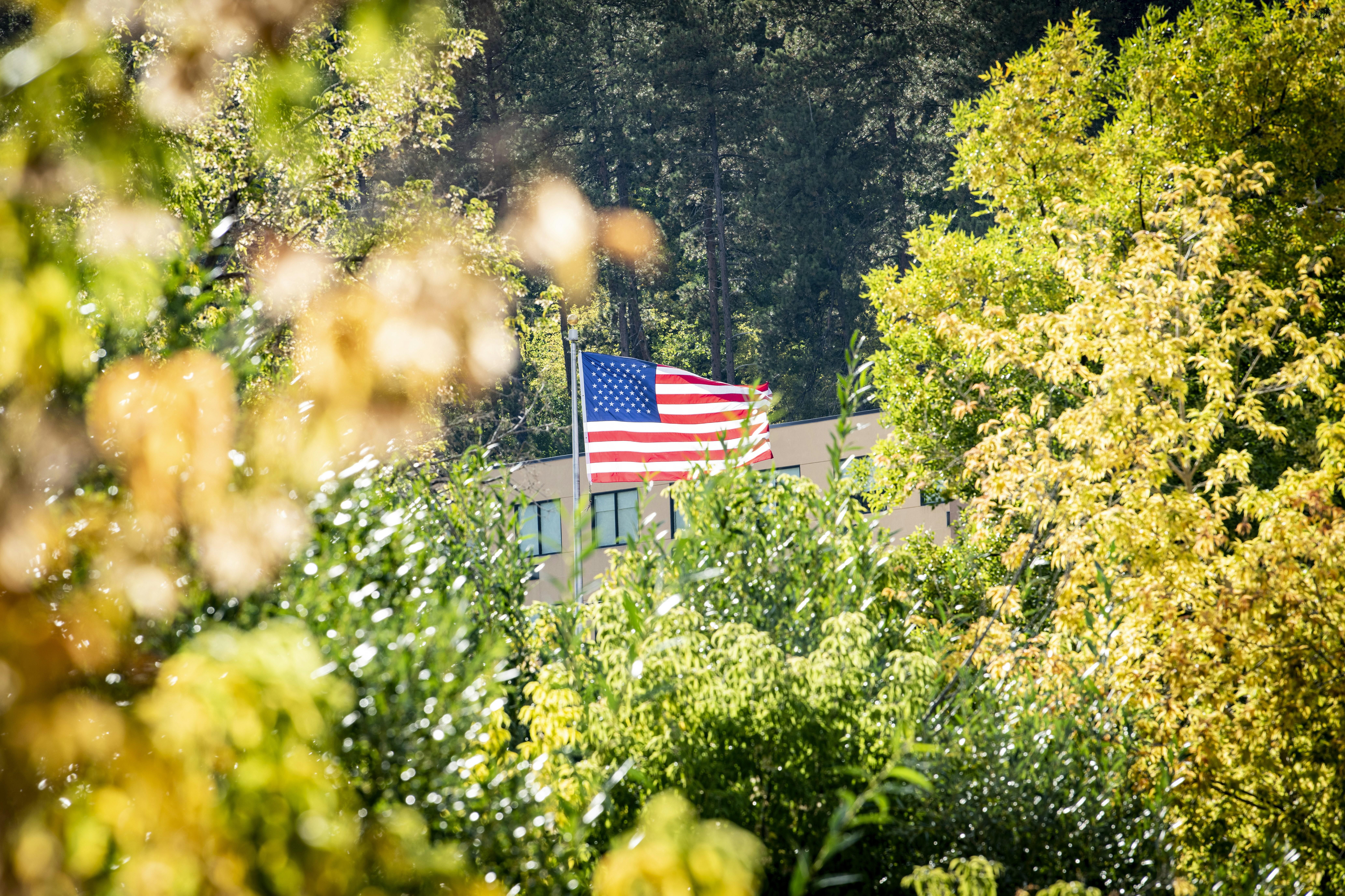 Flag Framed by a Dappled Green Canopy Over a Quiet Campus Building