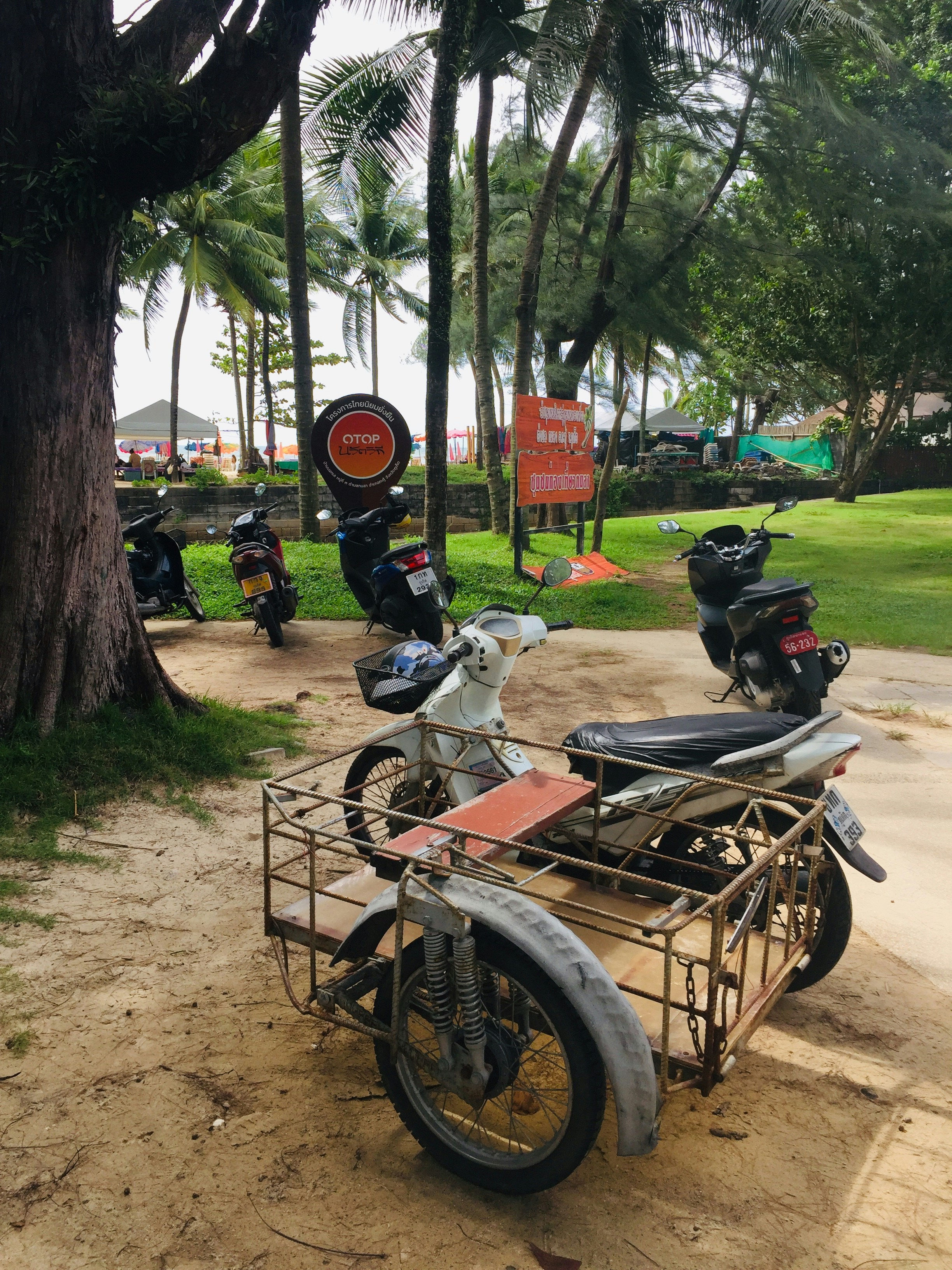Mopeds parked under tall palm trees on a sandy path near a grassy area with beach in the background.