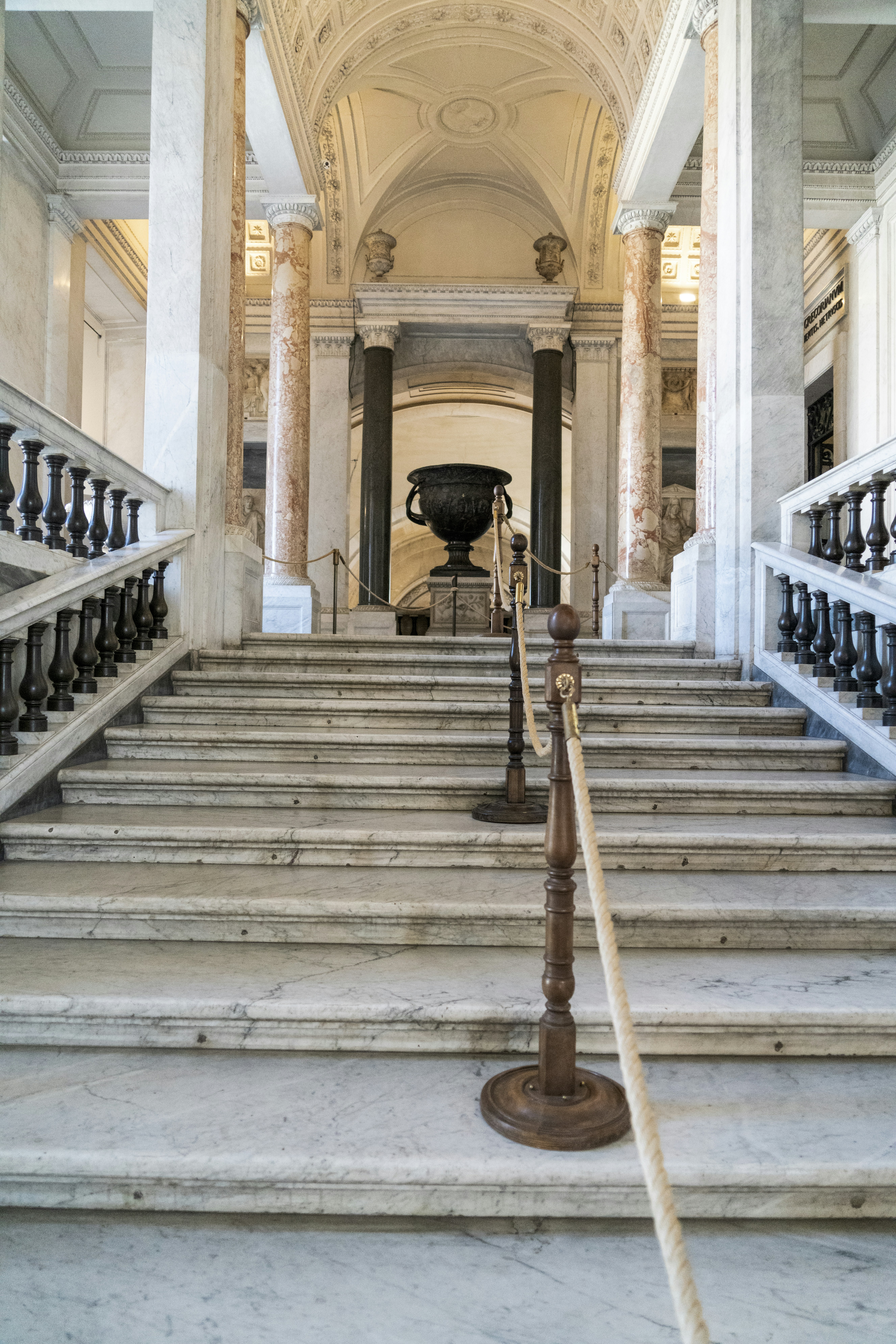 Photo by Marian Florinel Condruz with Sony Alpha 7R II