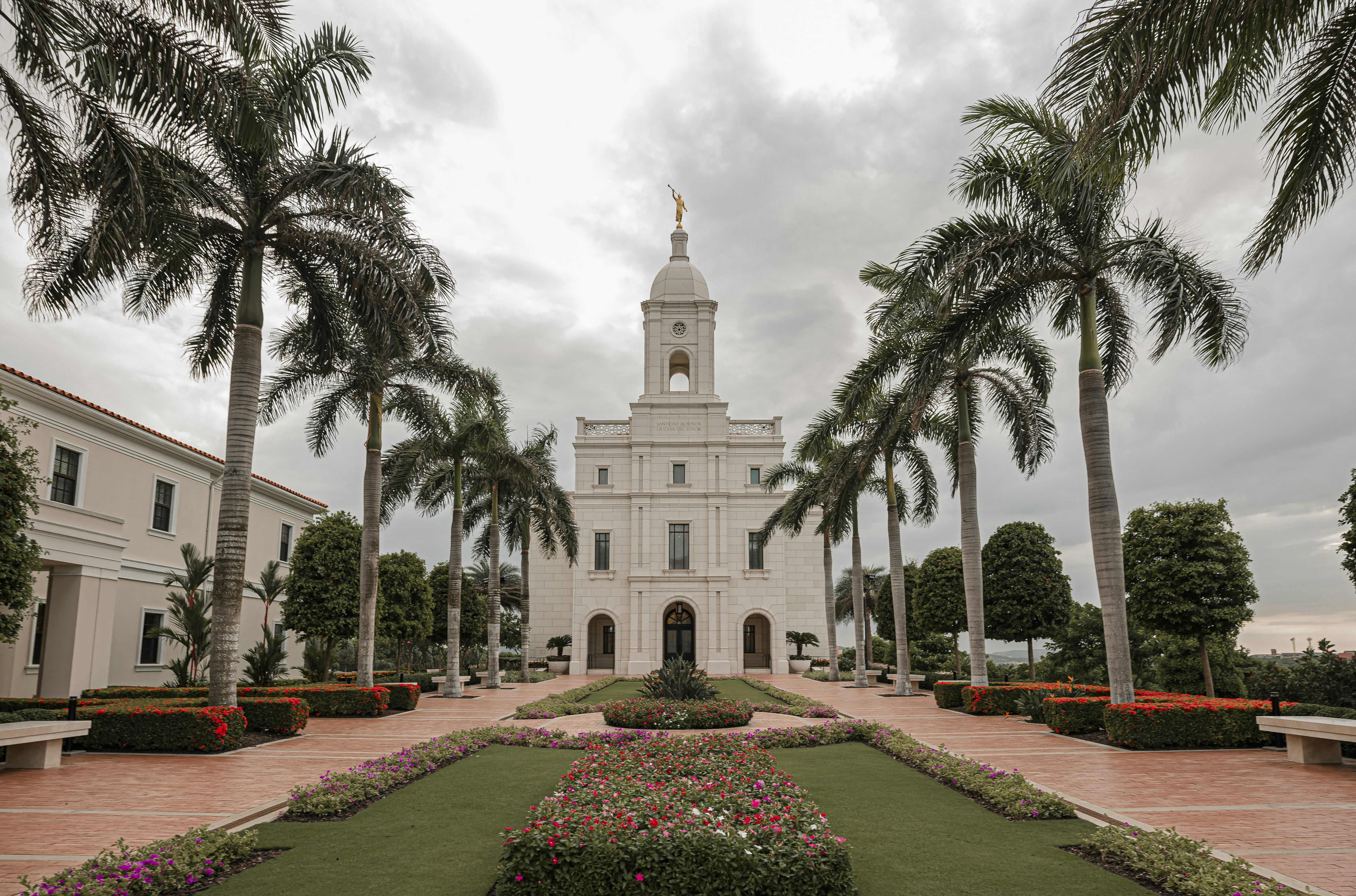 Elegant building framed by towering palm trees under a cloudy sky.