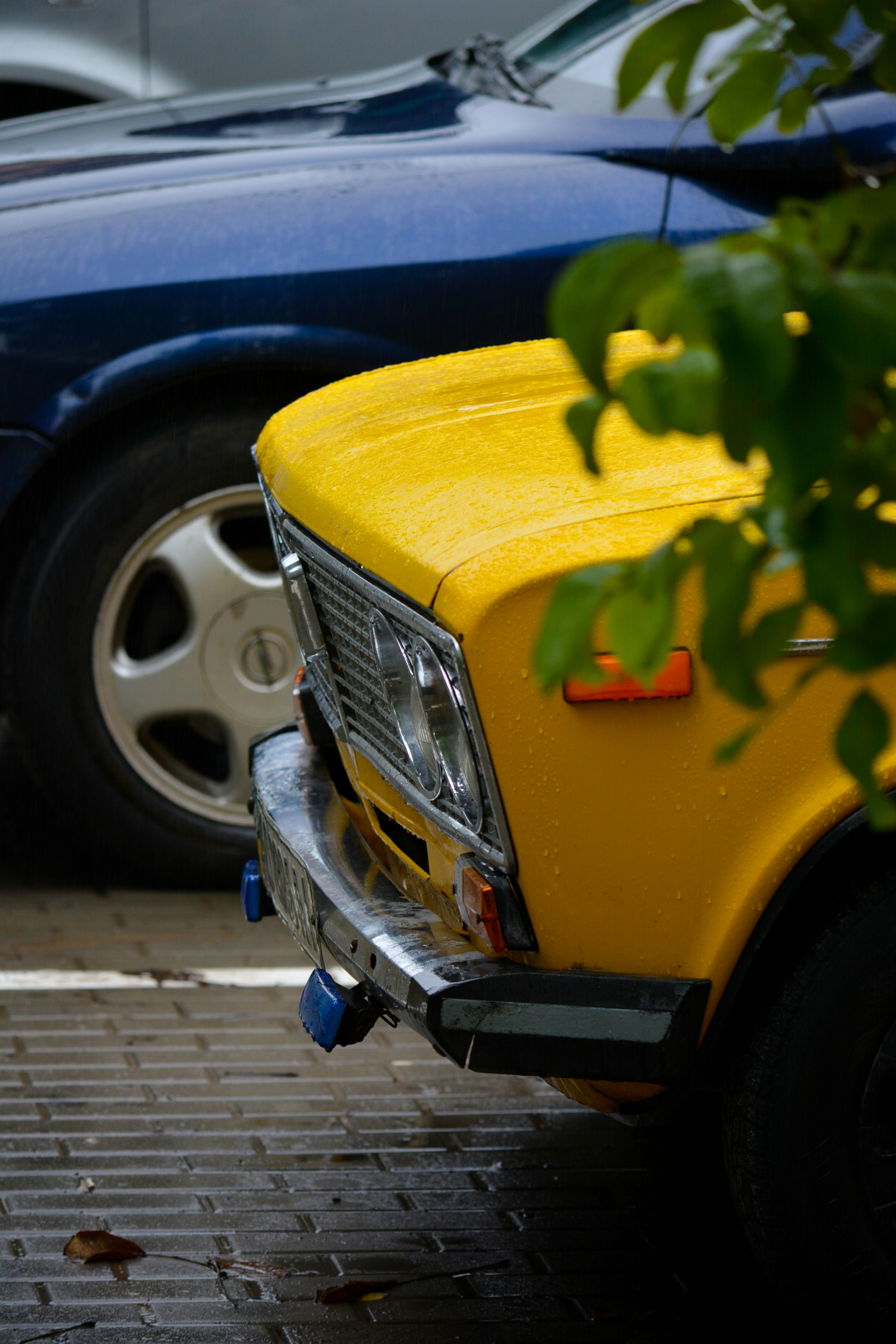 Yellow Front End, Quietly Weathered: A Vintage Pickup Framed by Leaves and a Blue Companion