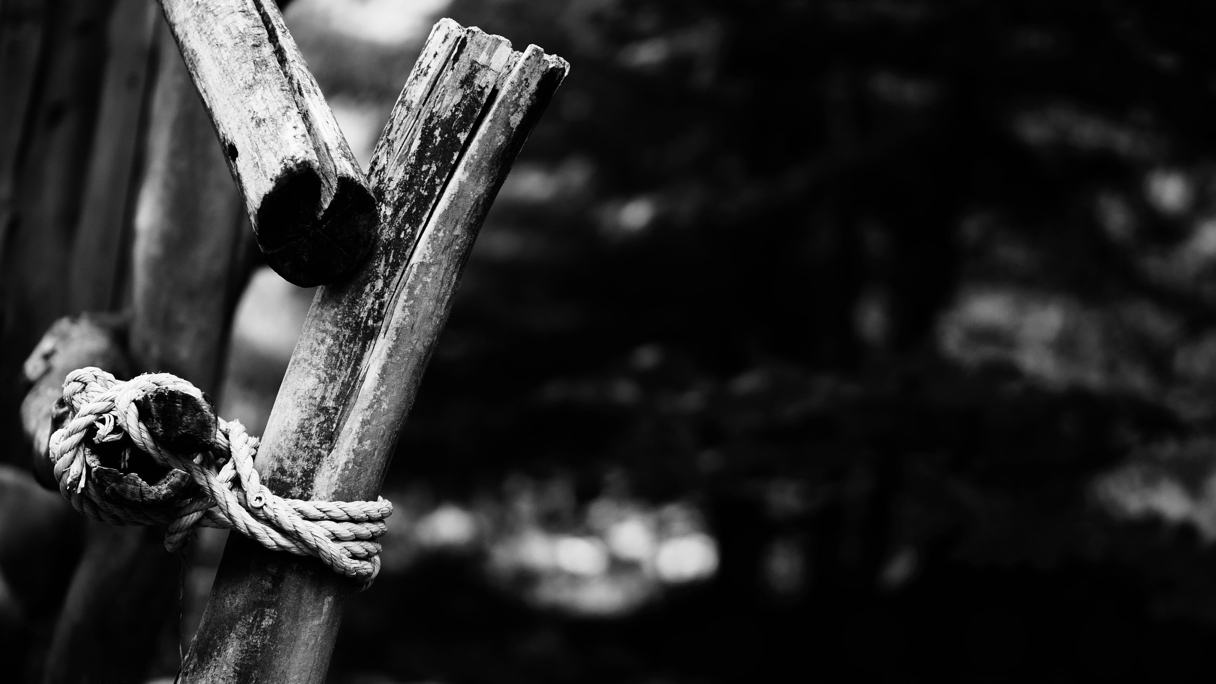 A close-up of intertwined wooden branches secured with rope, set against a blurred natural backdrop.