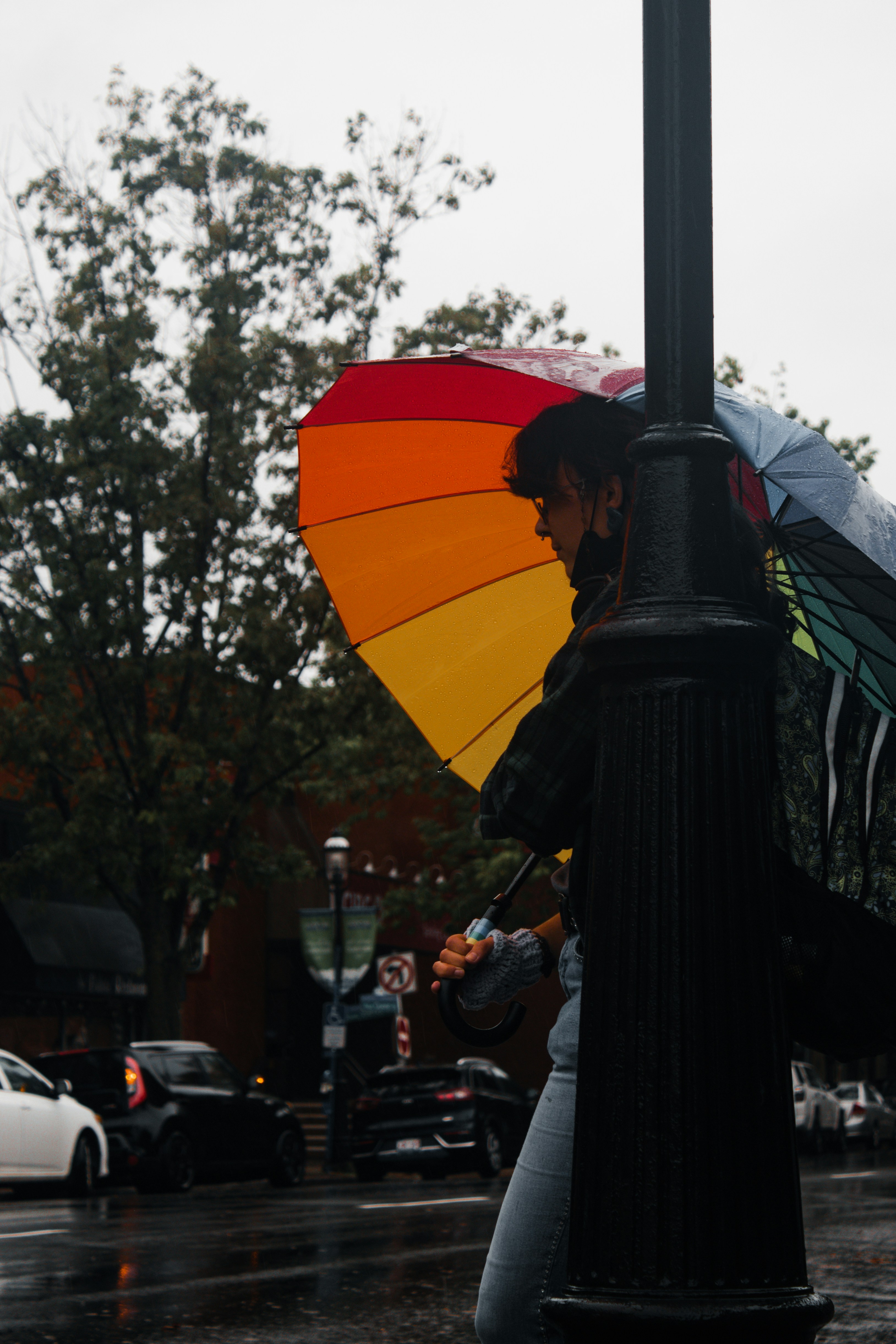 Rainbow Arc by a Rainy Lamppost: a Quiet City Moment