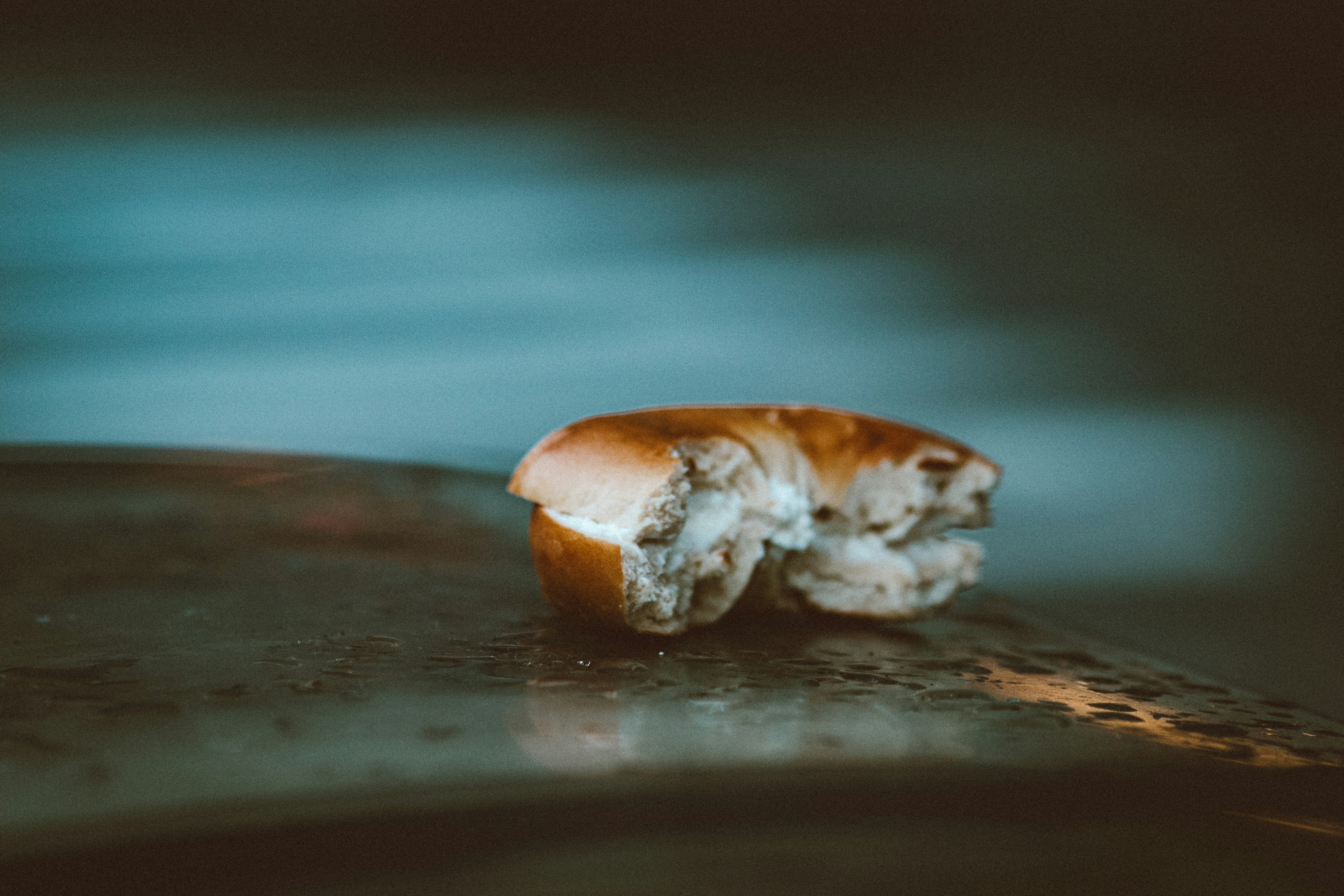 A close up of a seashell photo – Free Breakfast Image on Unsplash
