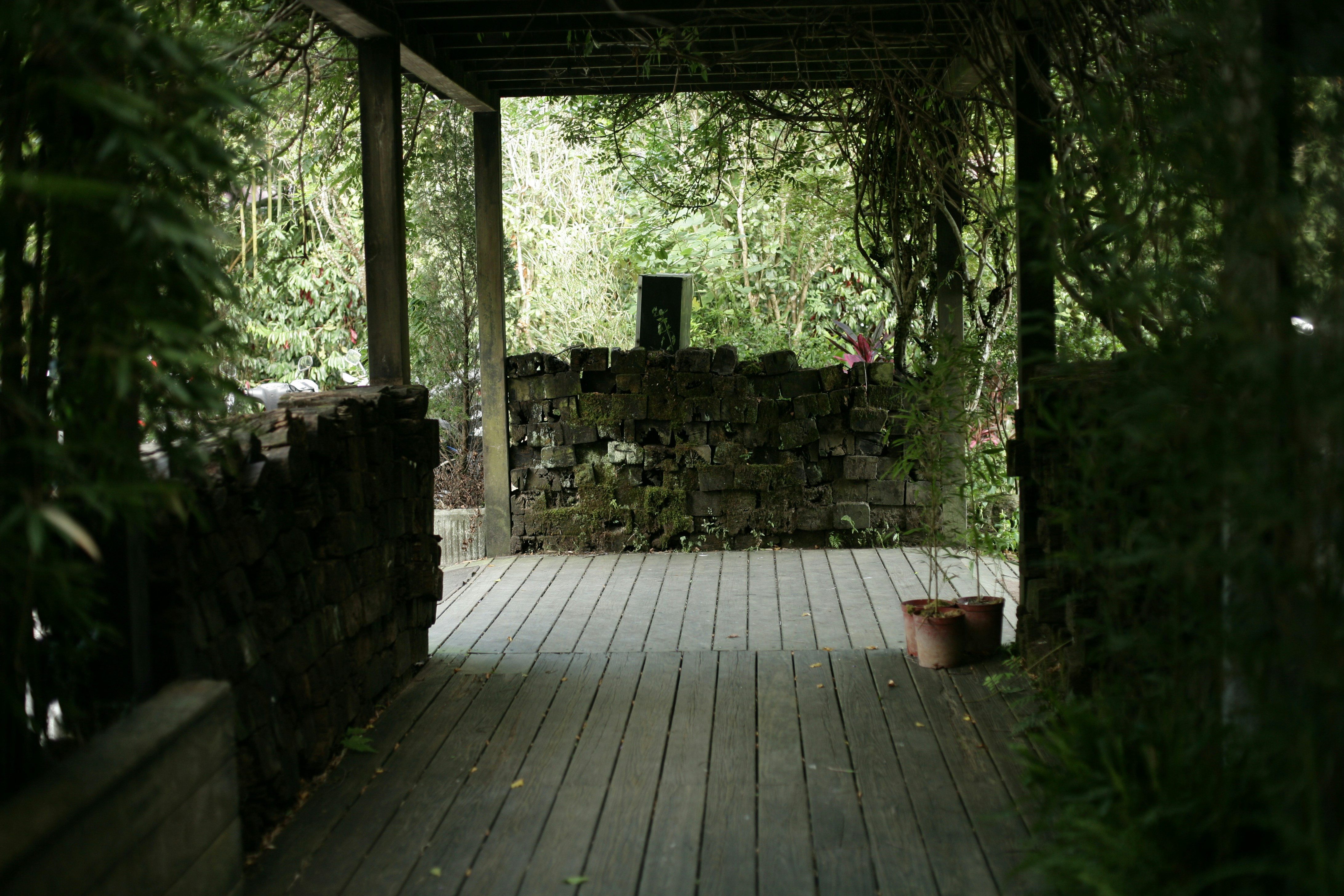 Framed Quiet at the End of a Mossy Wooden Corridor