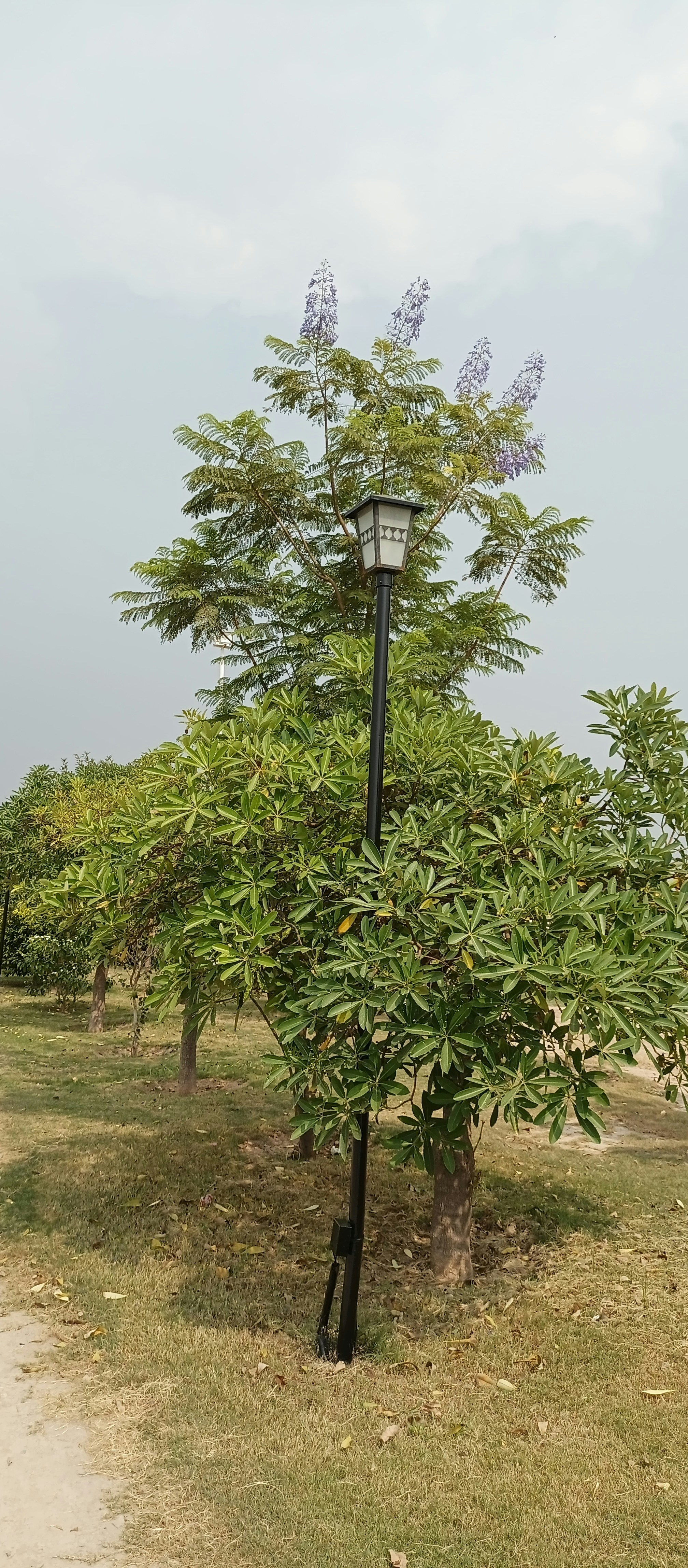 Photo by Muhammad Zain Ahsan with Infinix Note 11 Pro