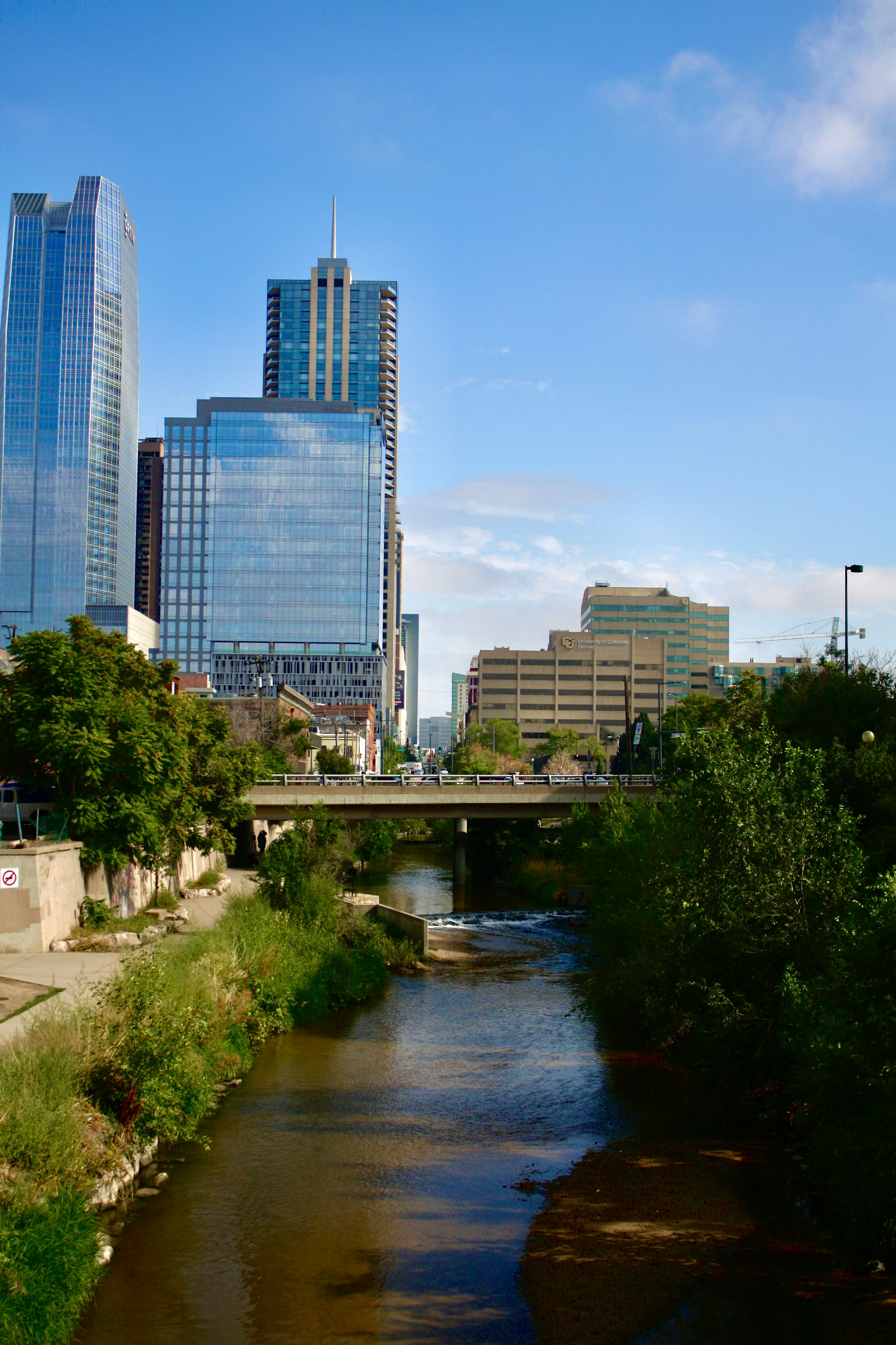 A river with a bridge and tall buildings in the background photo – Free ...