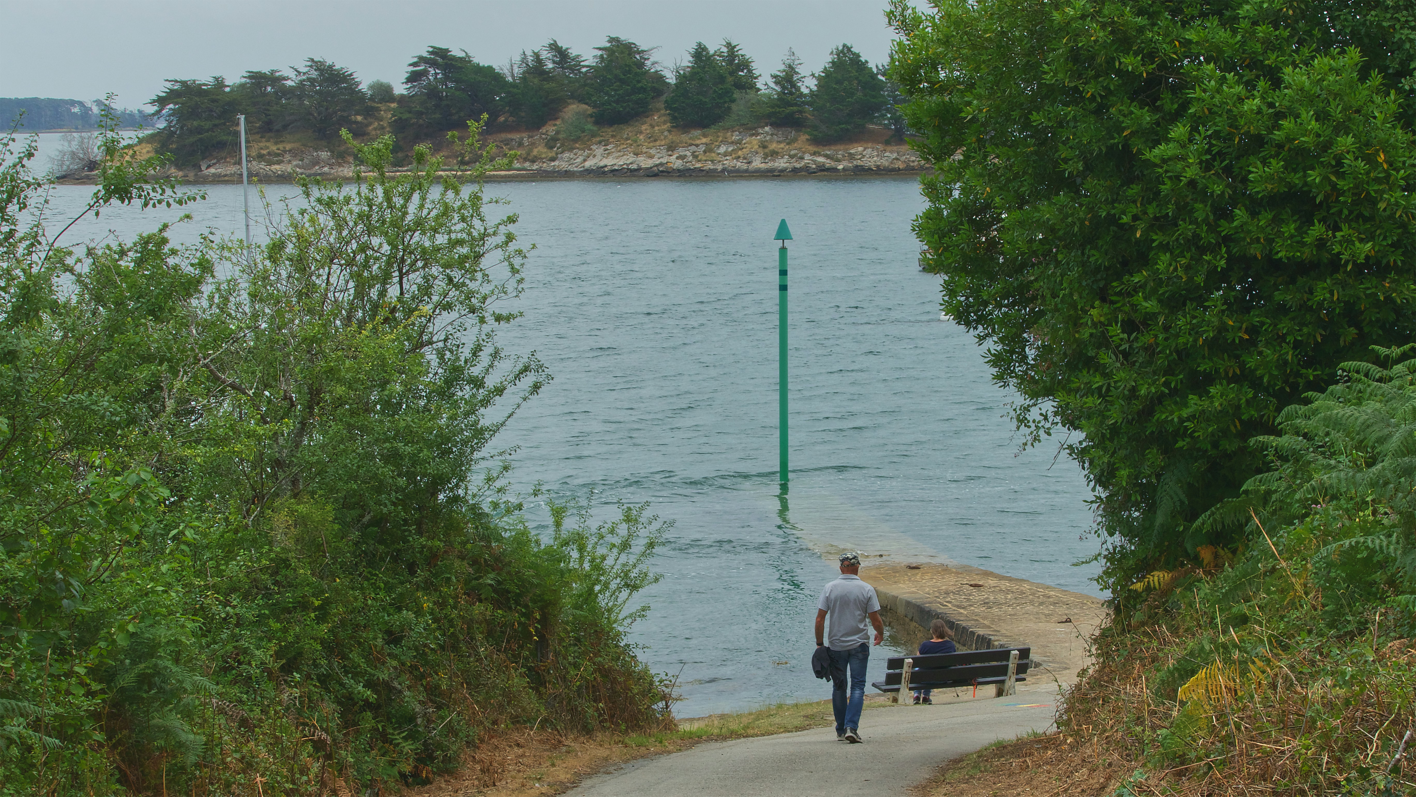 The Green Beacon by the Cove: a Quiet Path to Water's Edge