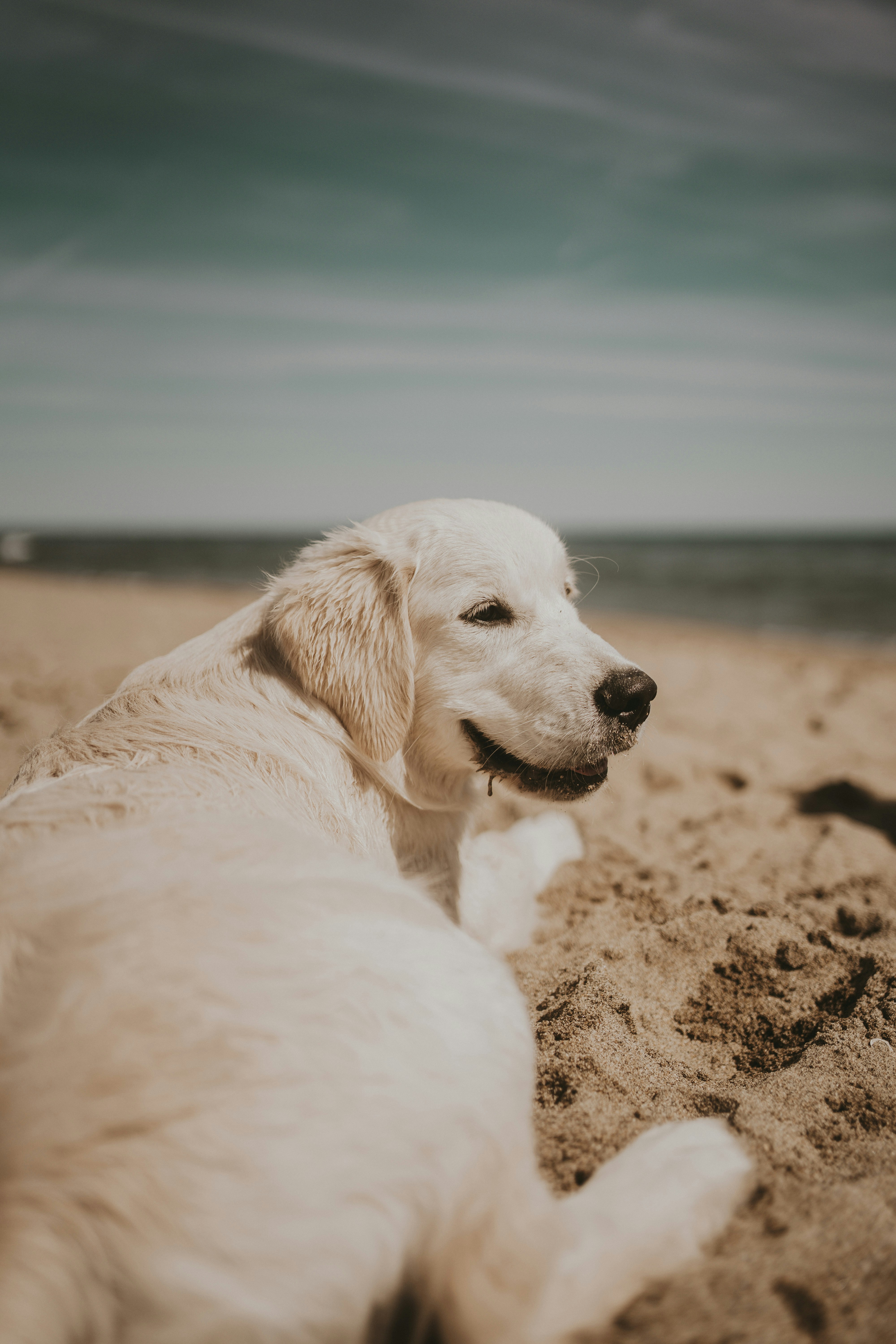 Photo by Maëva Vigier with Sony Alpha 7 III