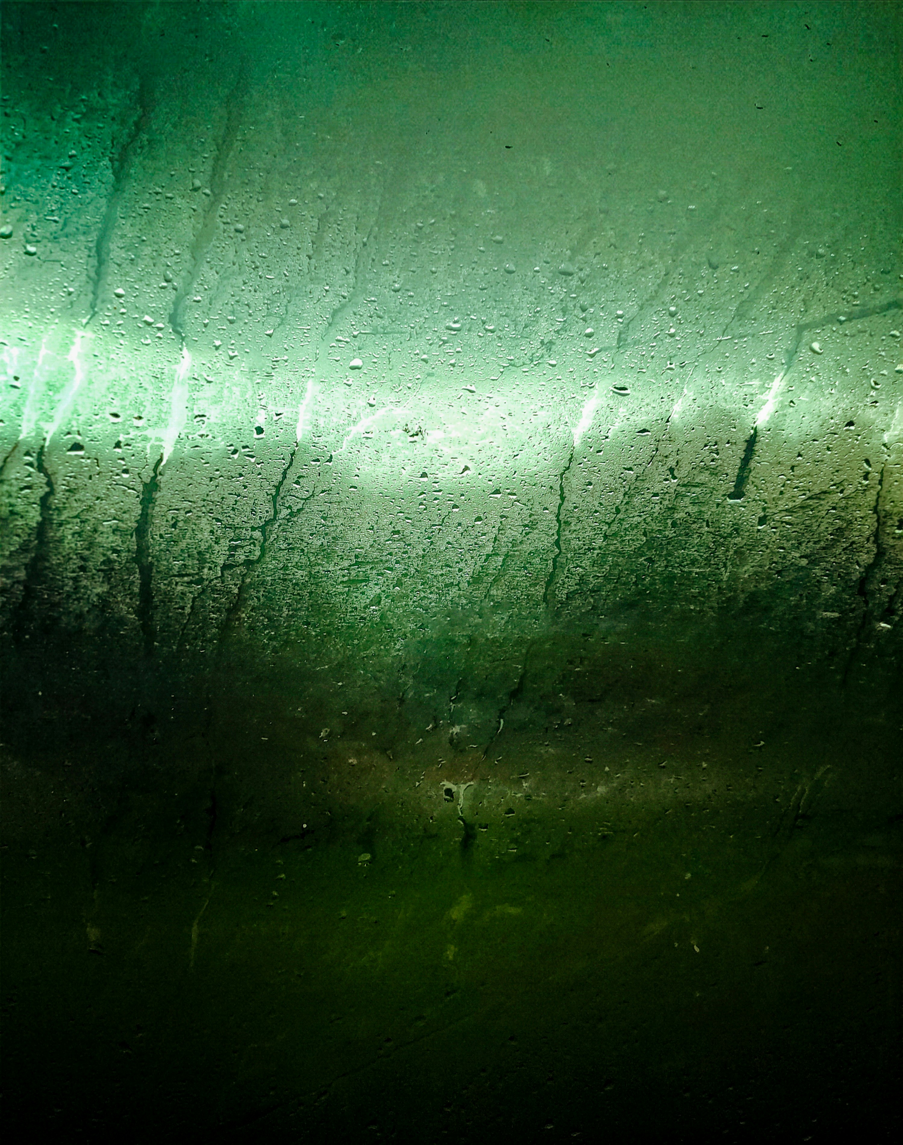 Humidity Pictures | Download Free Images on Unsplash