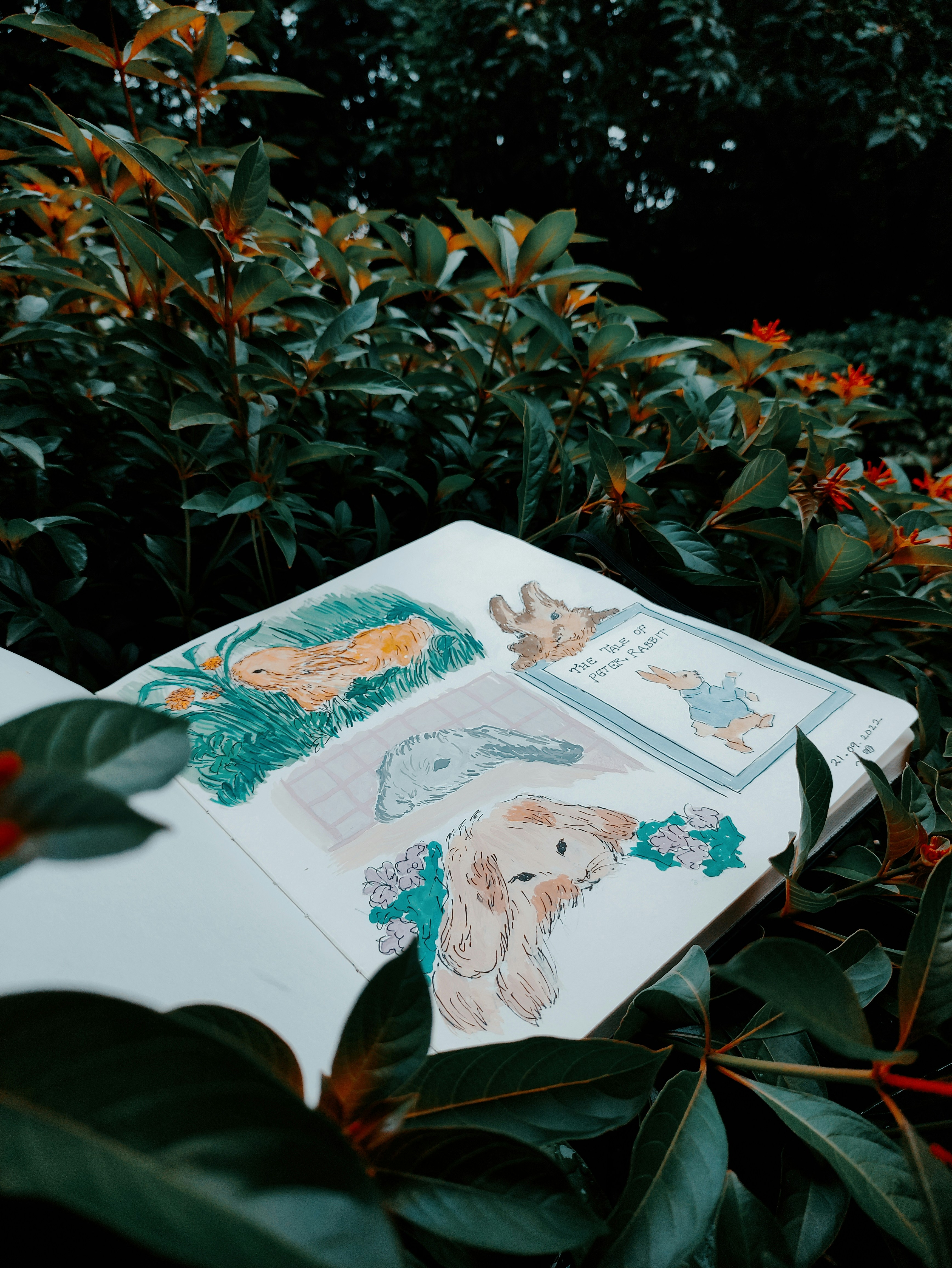 Open sketchbook featuring charming illustrations of rabbits surrounded by vibrant foliage. The scene captures a serene moment of creativity in nature.