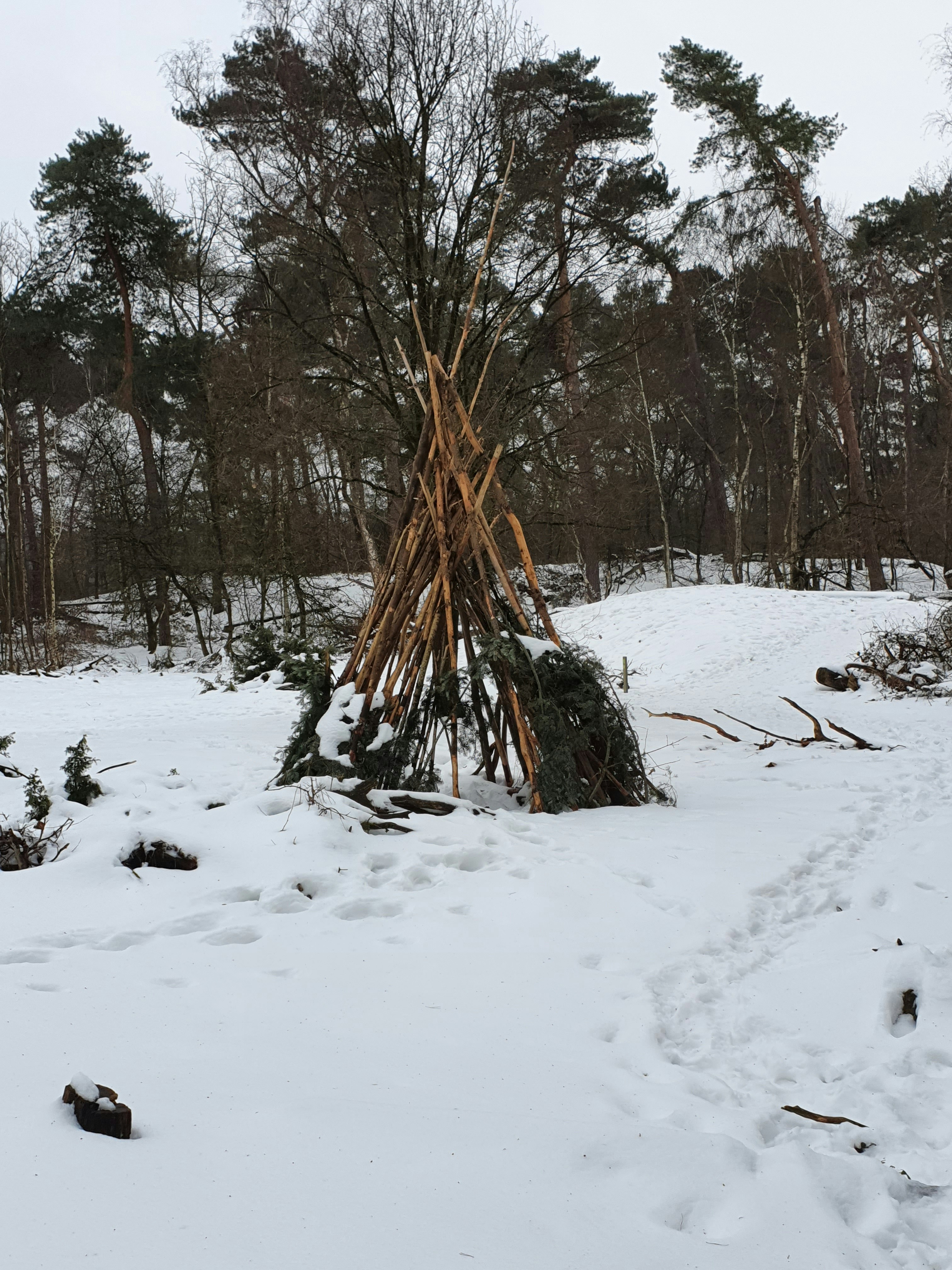 Cone of Branches: A wooden teepee rises from a snowbound clearing