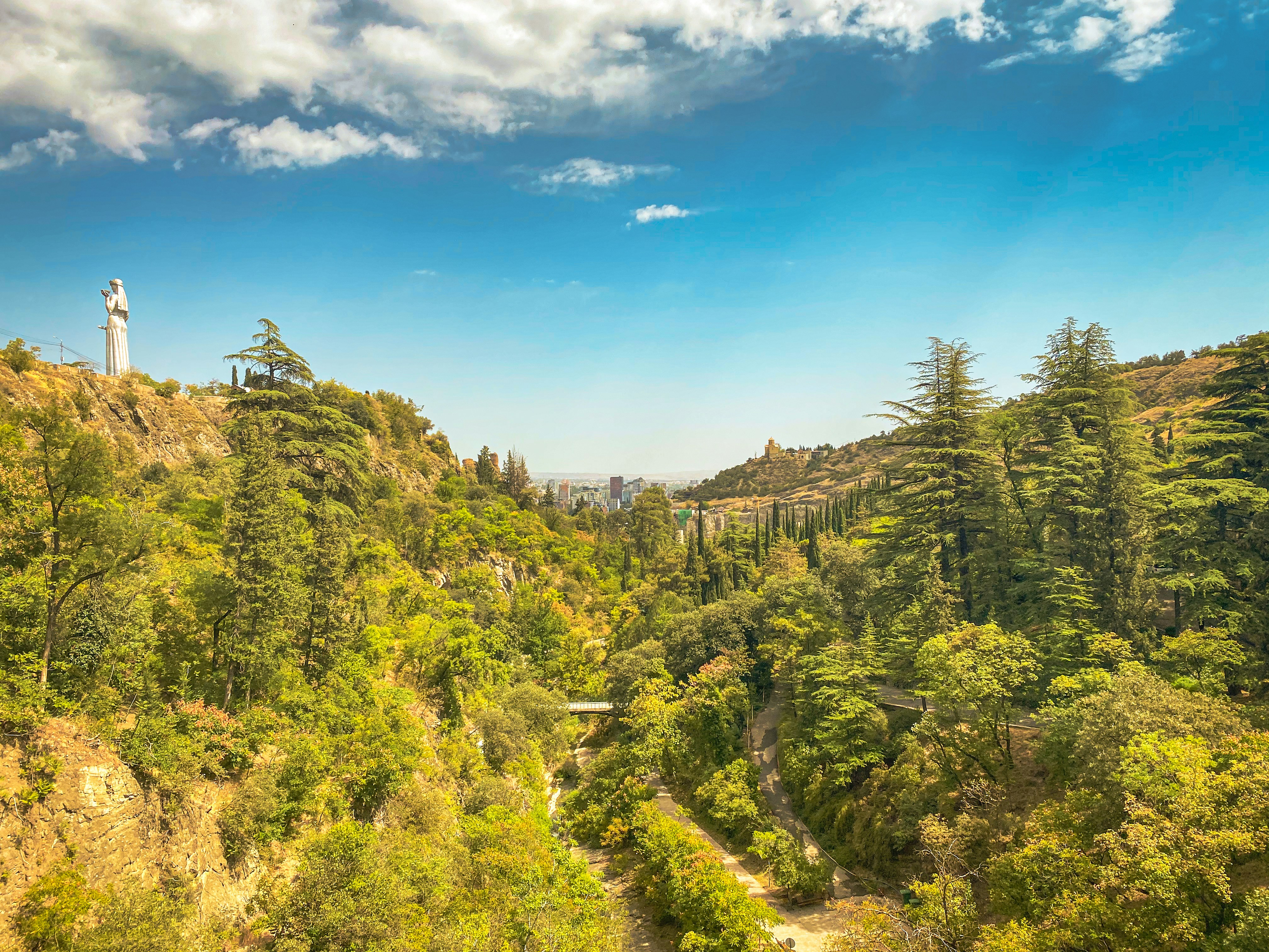 Forest landscape in a gorge with elements of a city | a landscape with trees and a tower in the distance