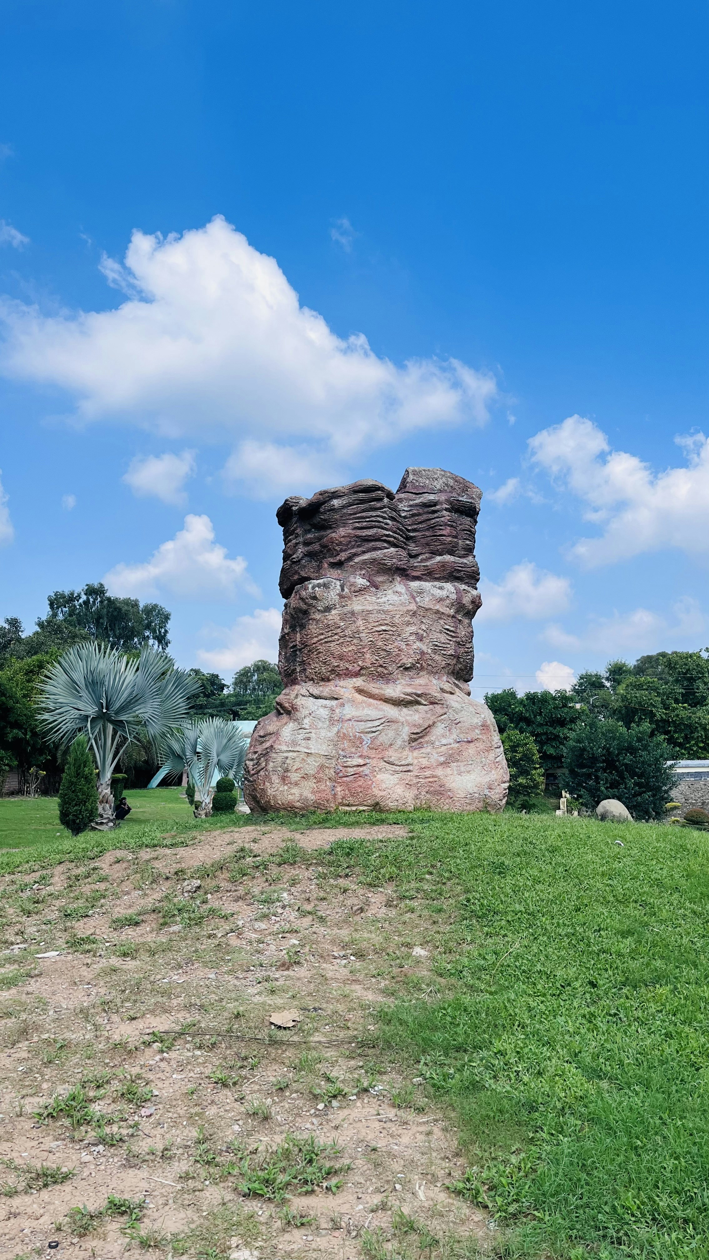 Un gros rocher dans une zone herbeuse photo – Photo Jardin japonais ...