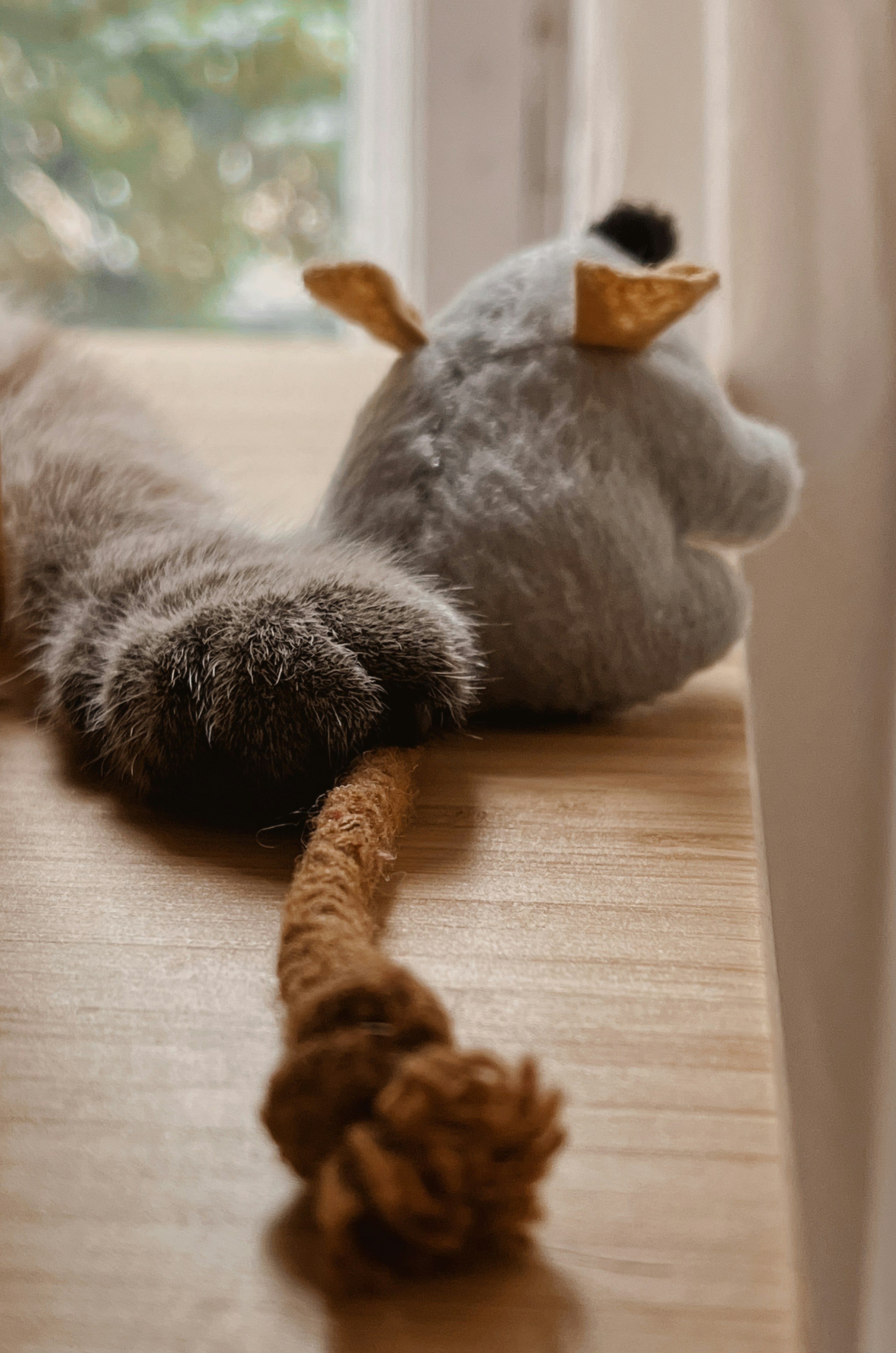 Shobhit Sharma (@shobhitsharma) | Communauté photos Unsplash