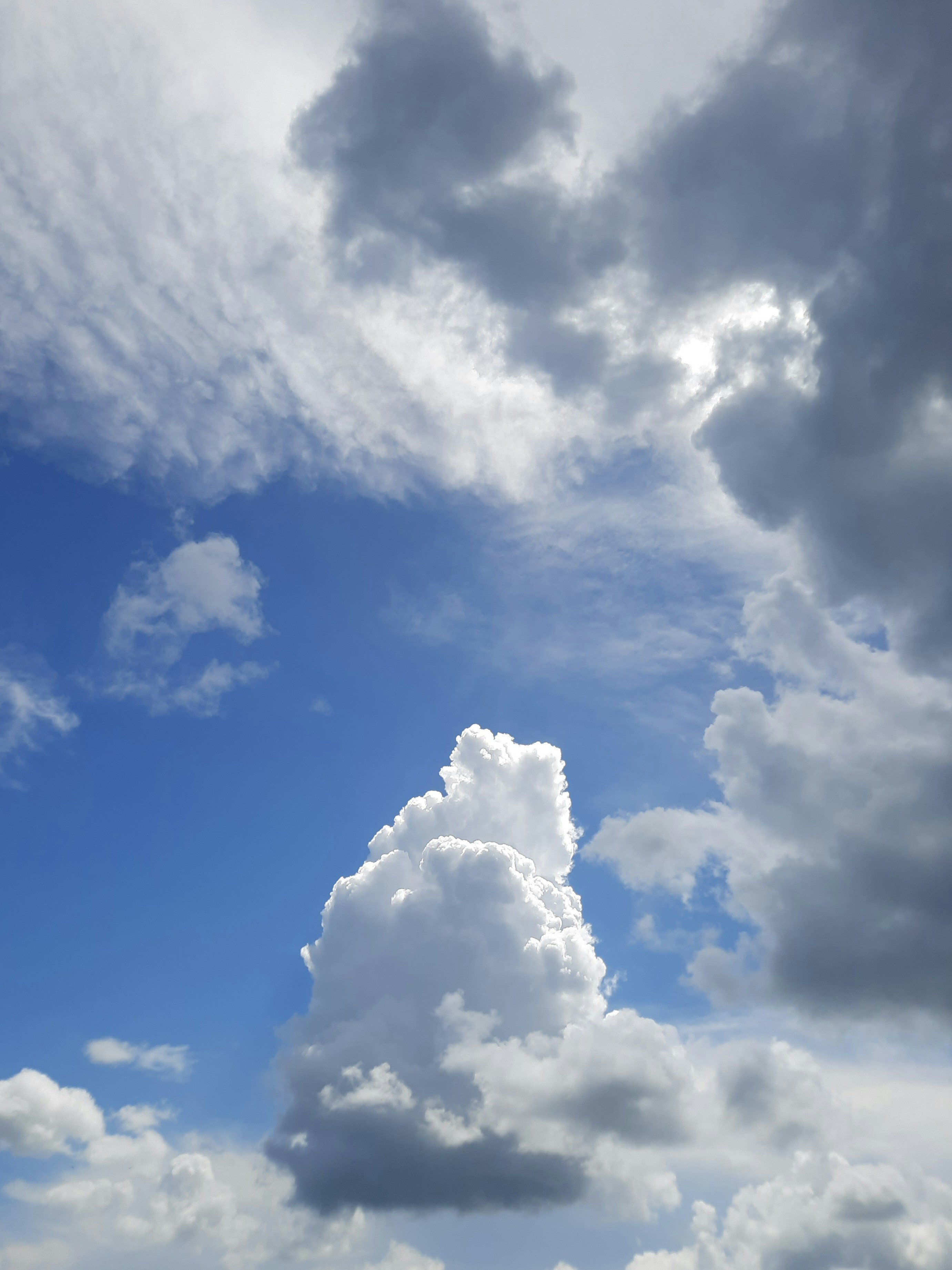 Fluffy white clouds drifting across a vibrant blue sky, with wisps of cirrus clouds above. A serene moment capturing nature's artistry.